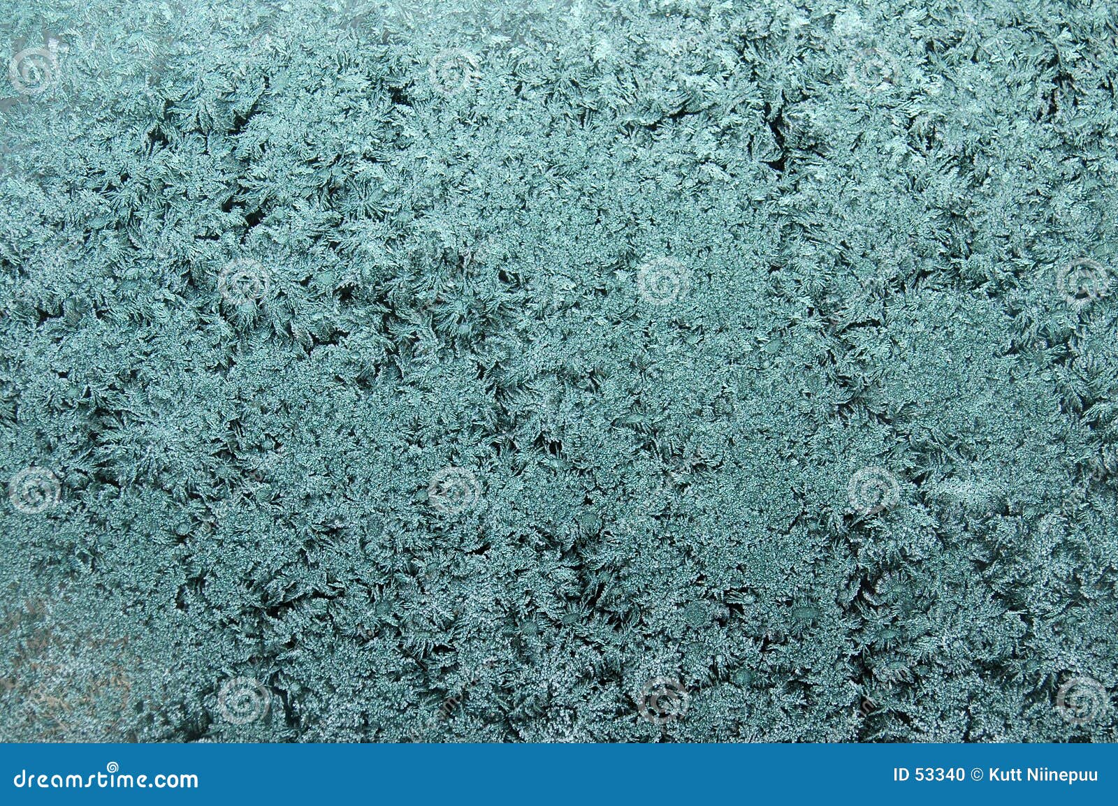 Frozen Glass stock photo. Image of frost, glass, flower - 53340