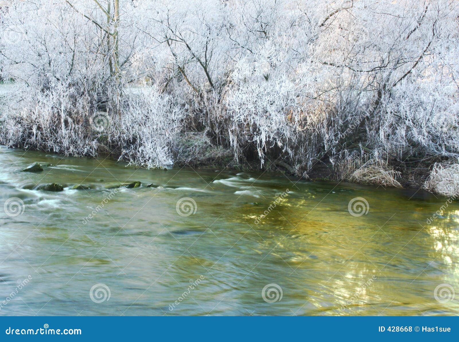 Frozen Golden stock photo. Image of cold, blurred, flow - 428668