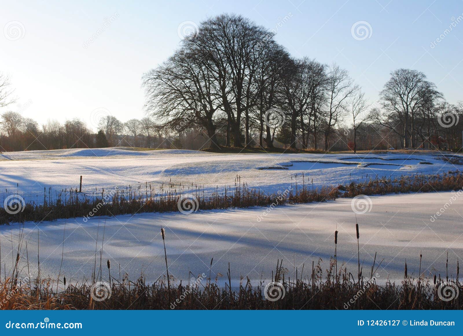 A frozen golf course stock image. Image of frozen, green - 12426127