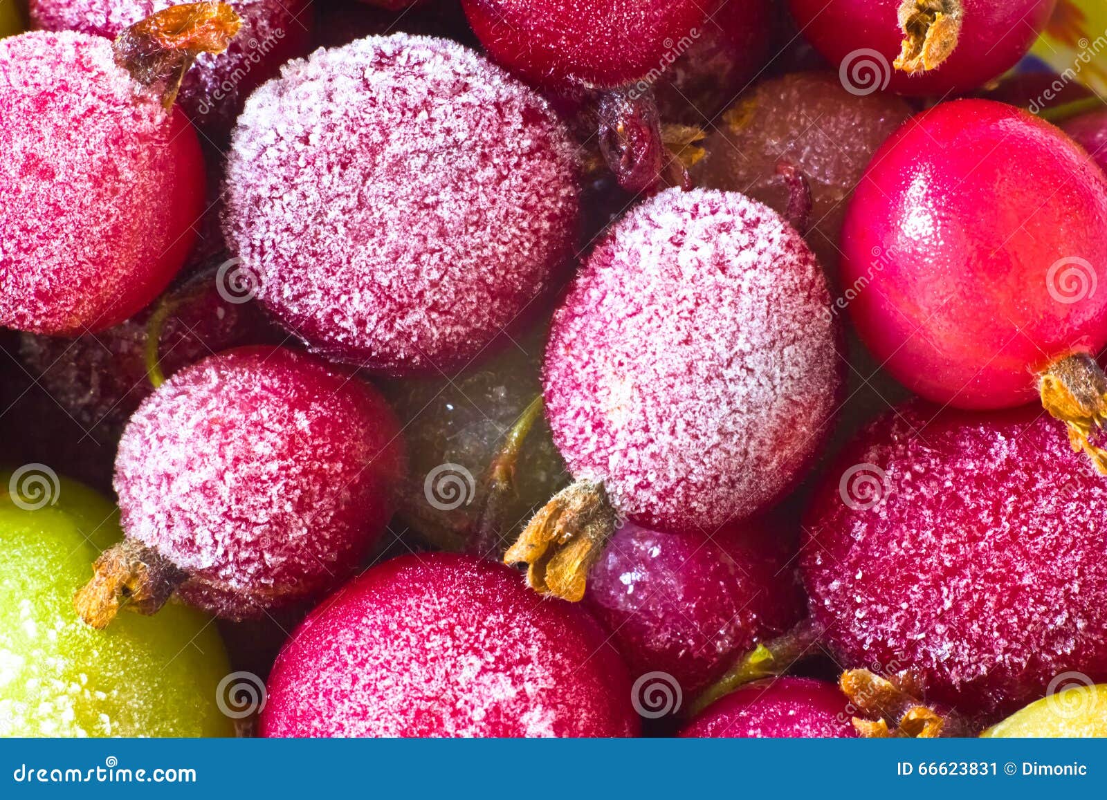 Frozen Gooseberries stock image. Image of eating, leaf - 66623831