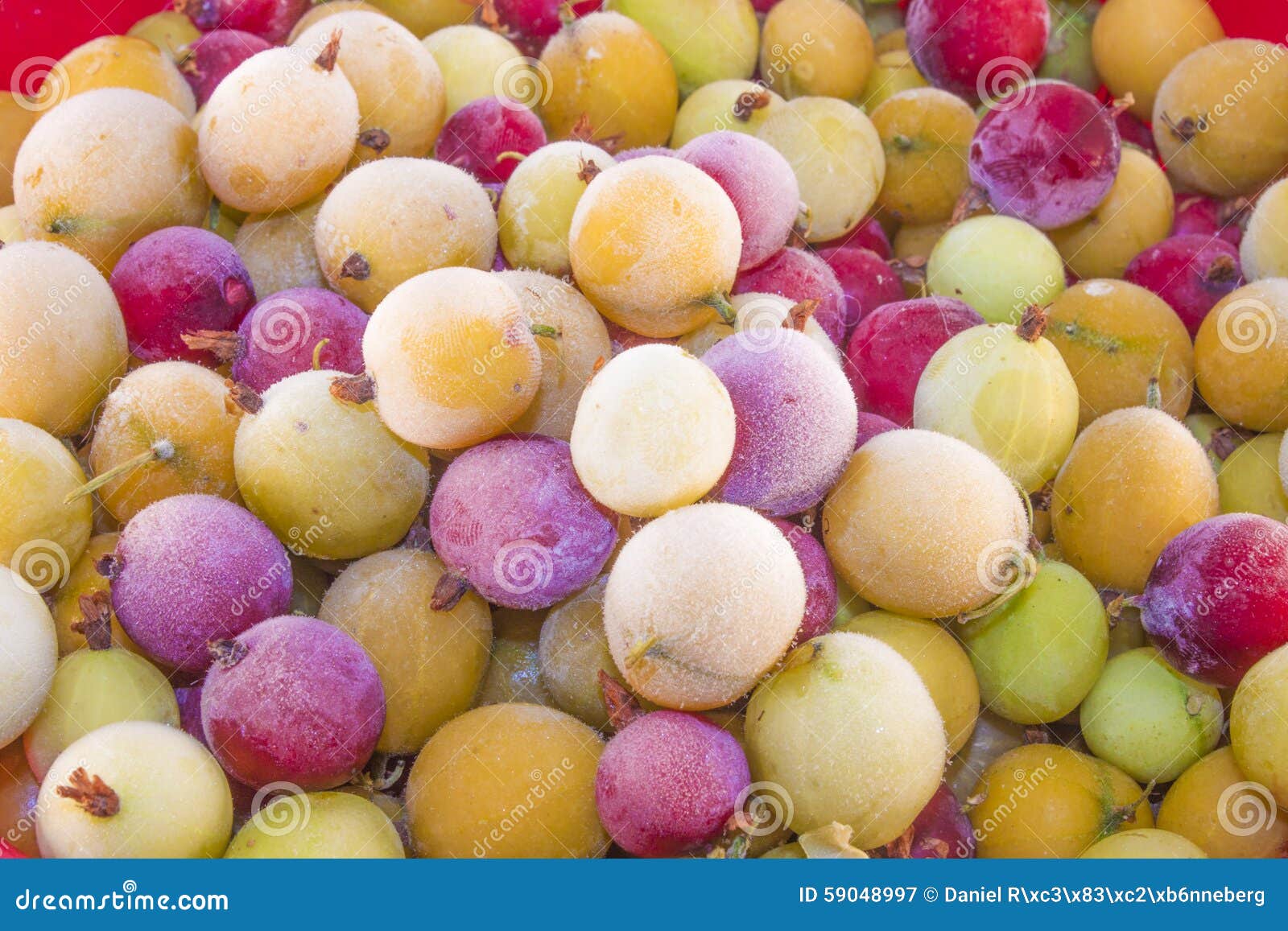 Frozen Gooseberries Ribes Uva-crispa Stock Image - Image of isolated ...