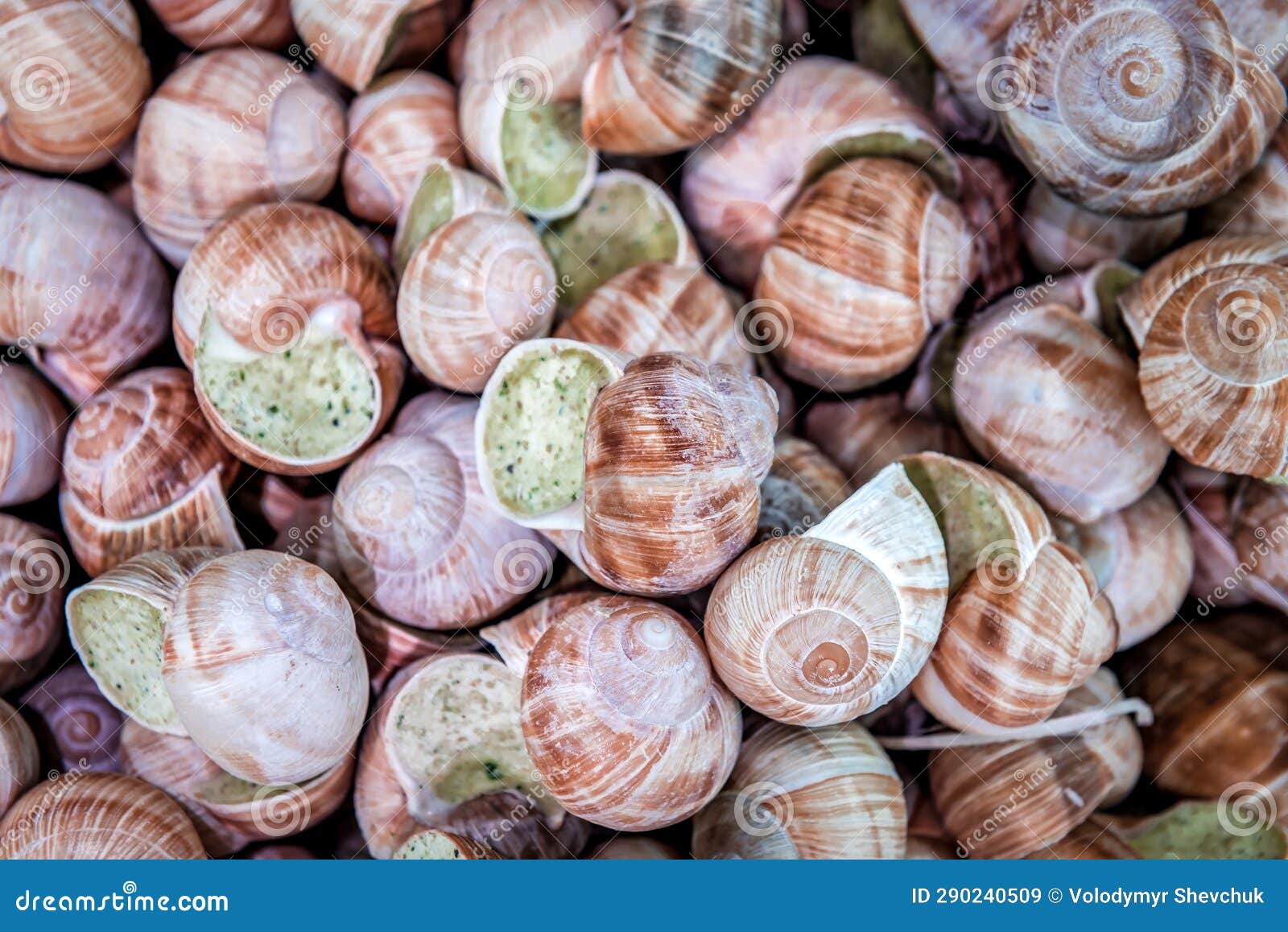 Frozen Grape Snail on Counter in a Store Texture Stock Image - Image of ...