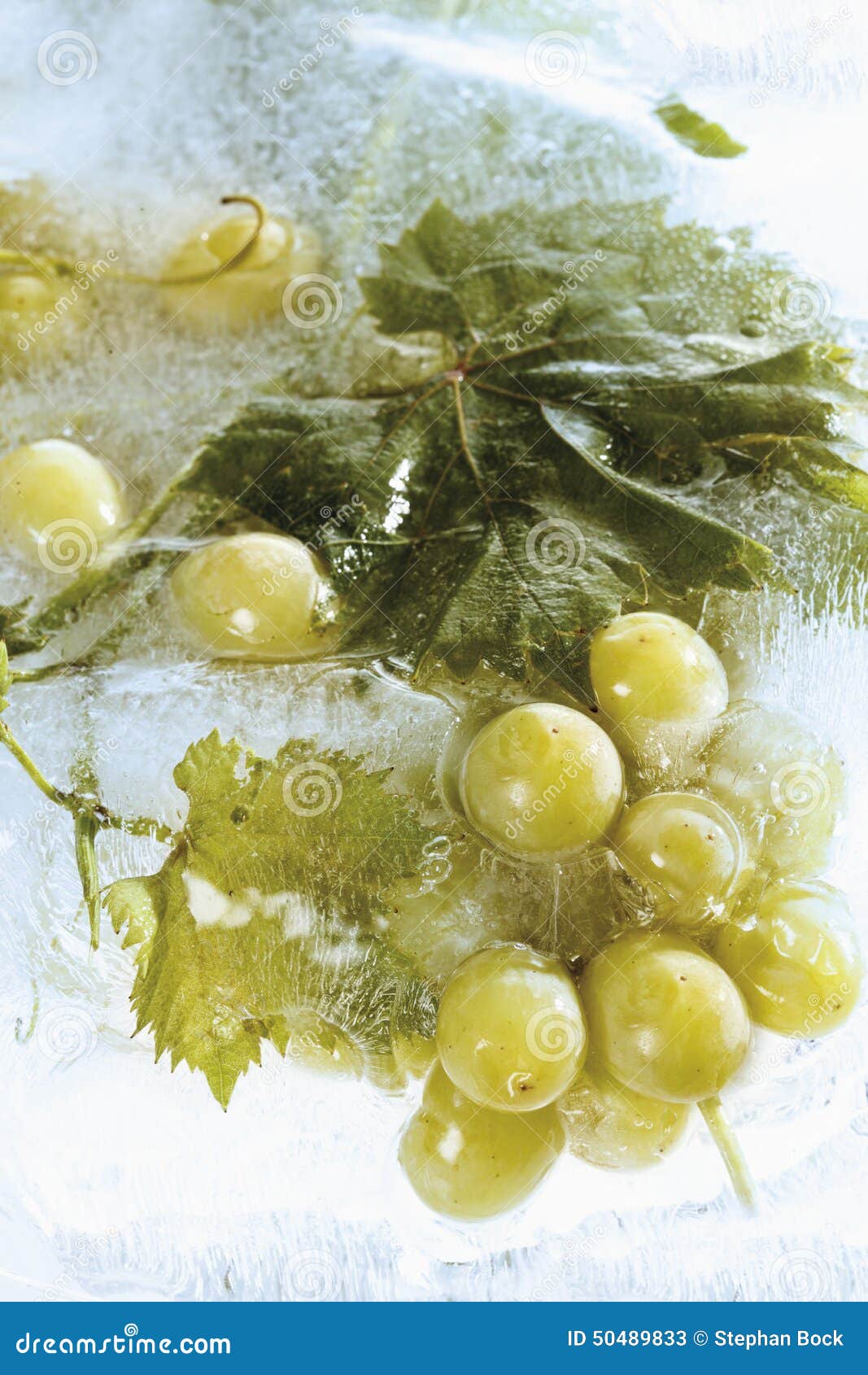 Frozen grapes in ice block stock image. Image of organic - 50489833