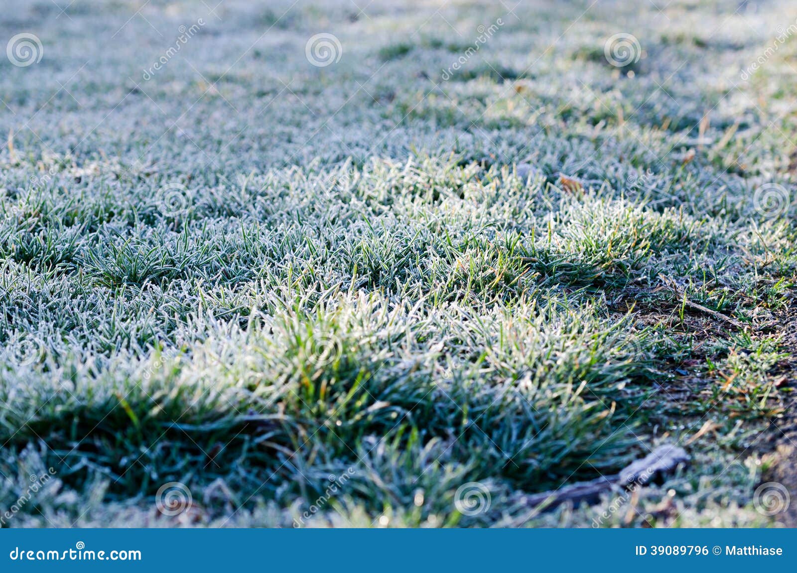 Frozen grass stock photo. Image of autumn, frost, countryside - 39089796