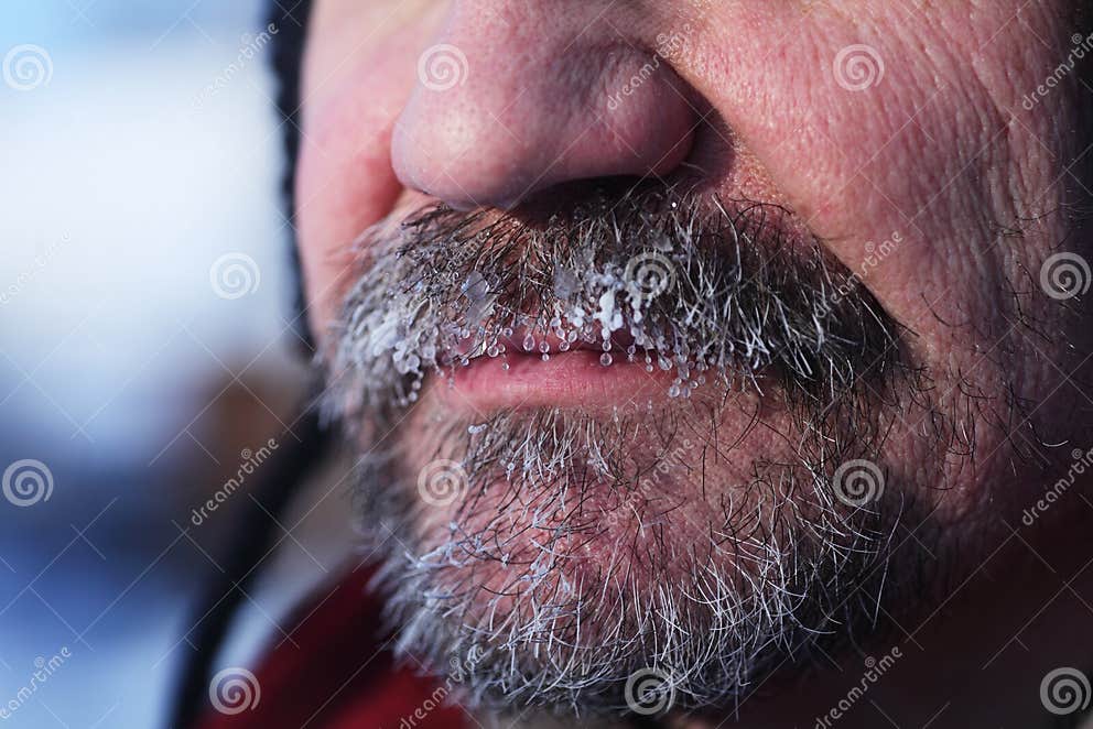 Frozen Gray Beard and Mustache Stock Image - Image of face, chin: 23155905