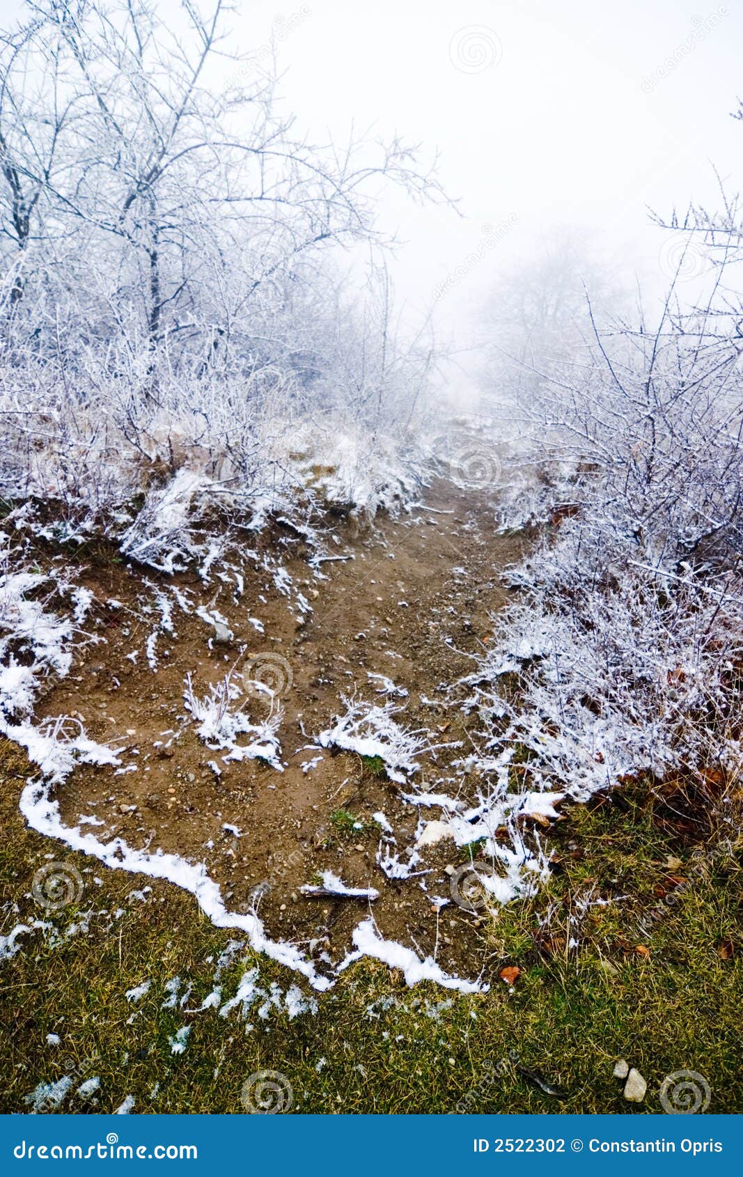 Frozen ground stock photo. Image of boondocks, cold, rural - 2522302