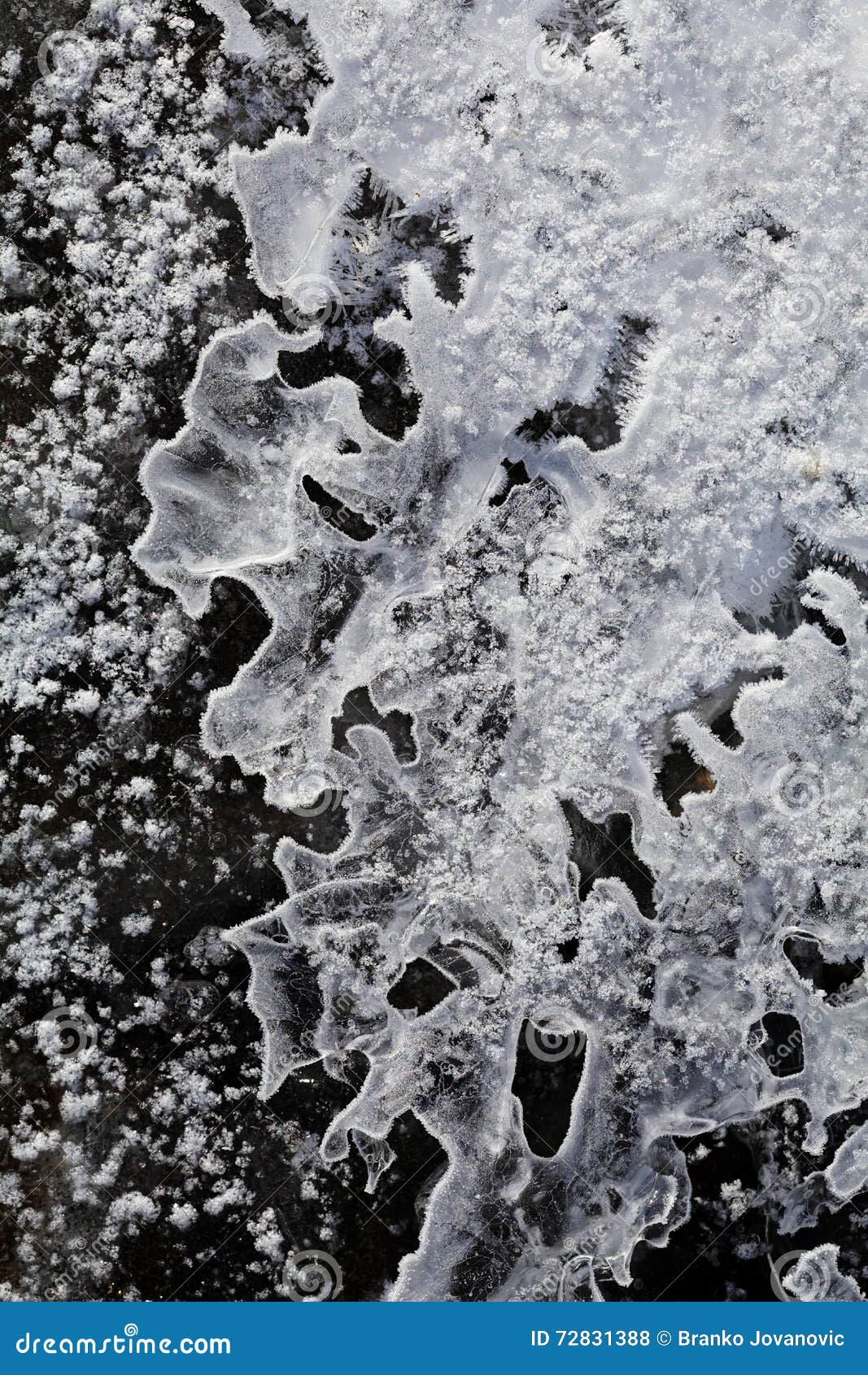 Frozen ground with ice stock photo. Image of road, natural - 72831388
