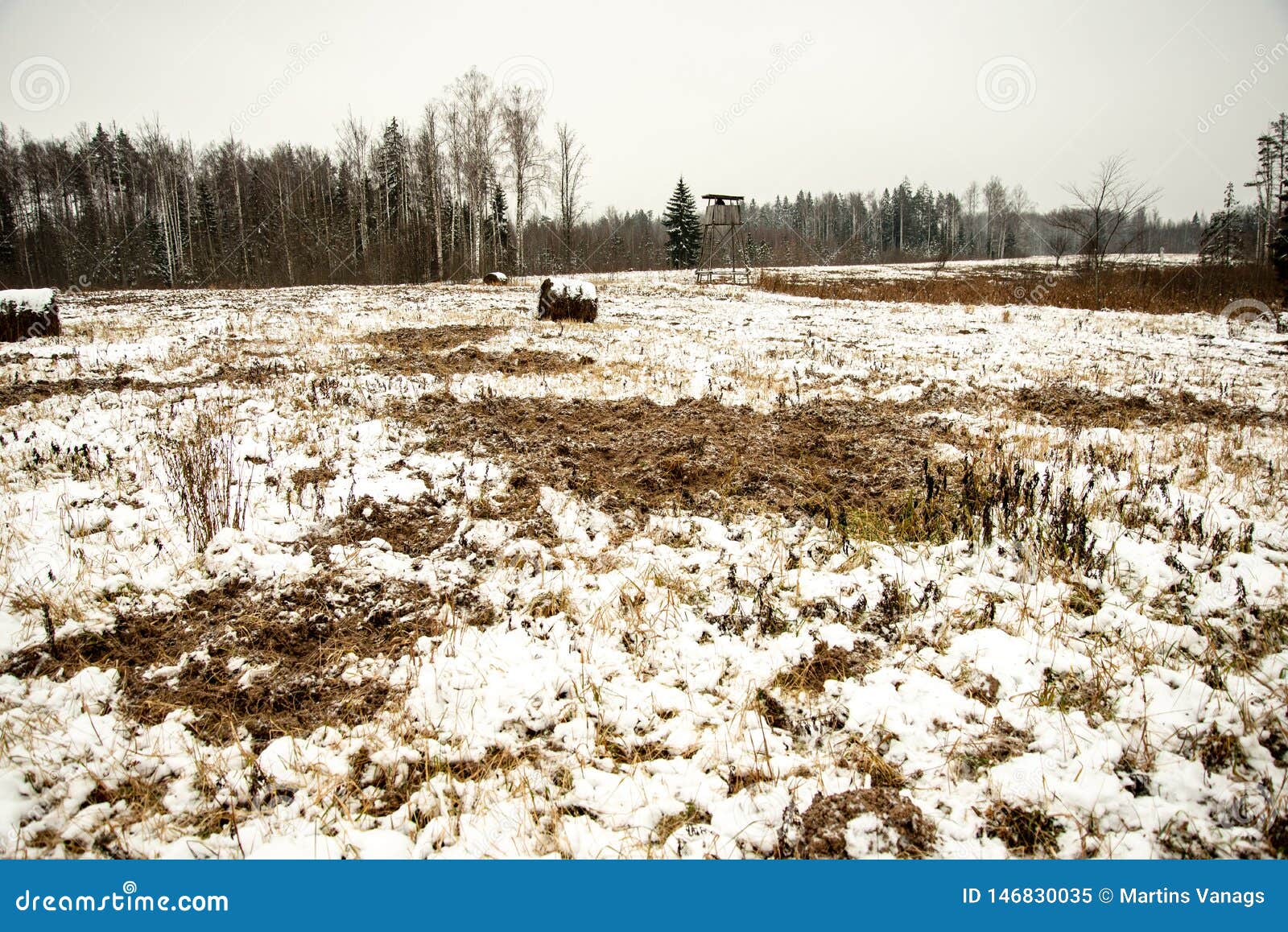 Frozen Ground Texture in Winter Countryside Stock Image - Image of ...