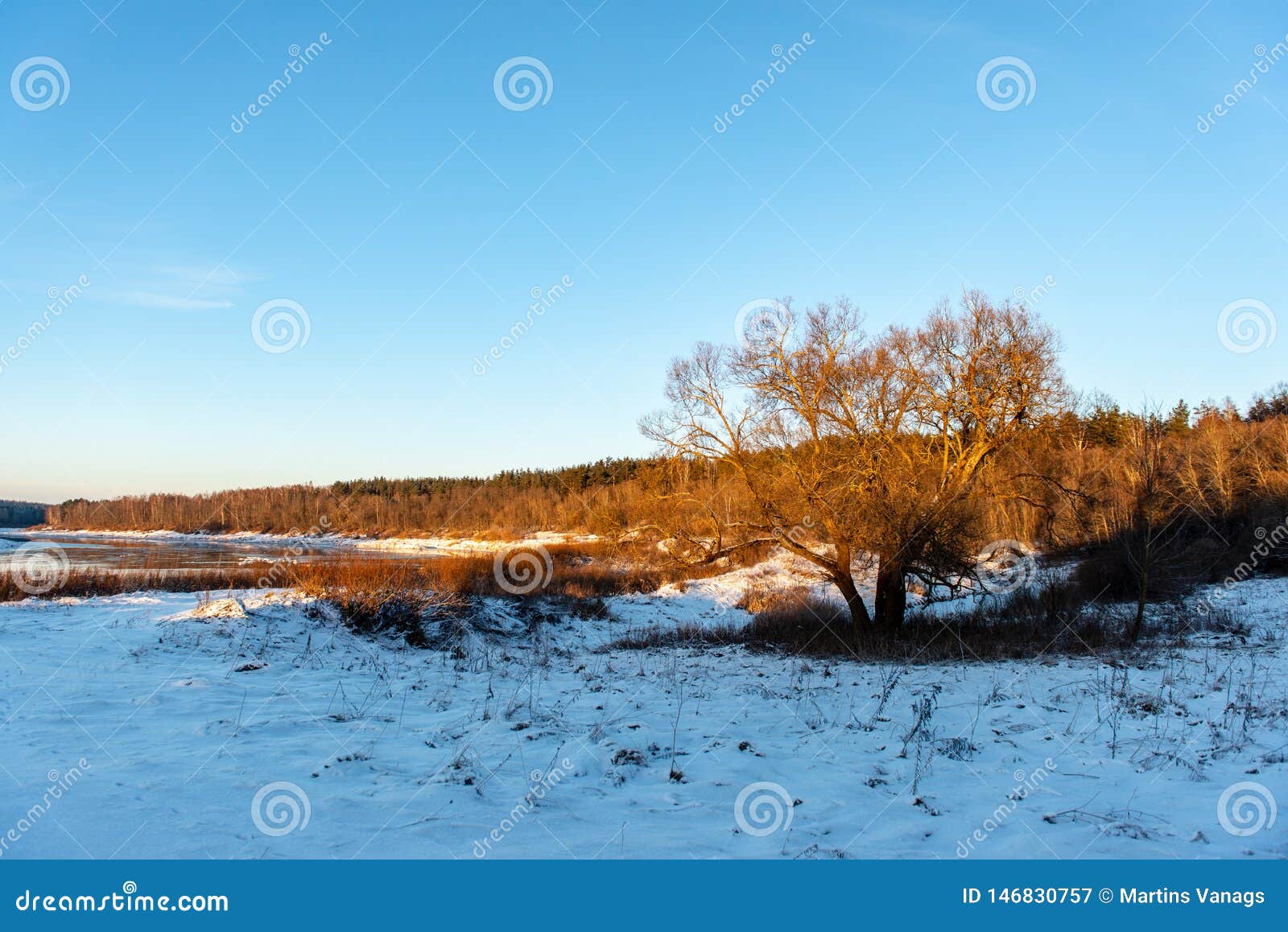 Frozen Ground Texture in Winter Countryside Stock Image - Image of ...