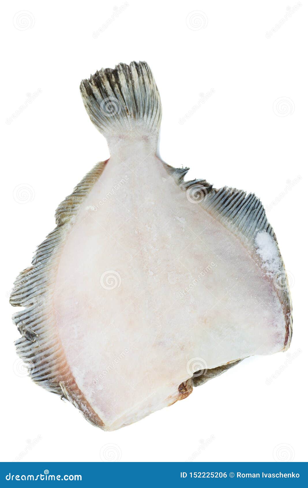 Frozen Headless Shrimp In Shells Royalty-Free Stock Photo ...
