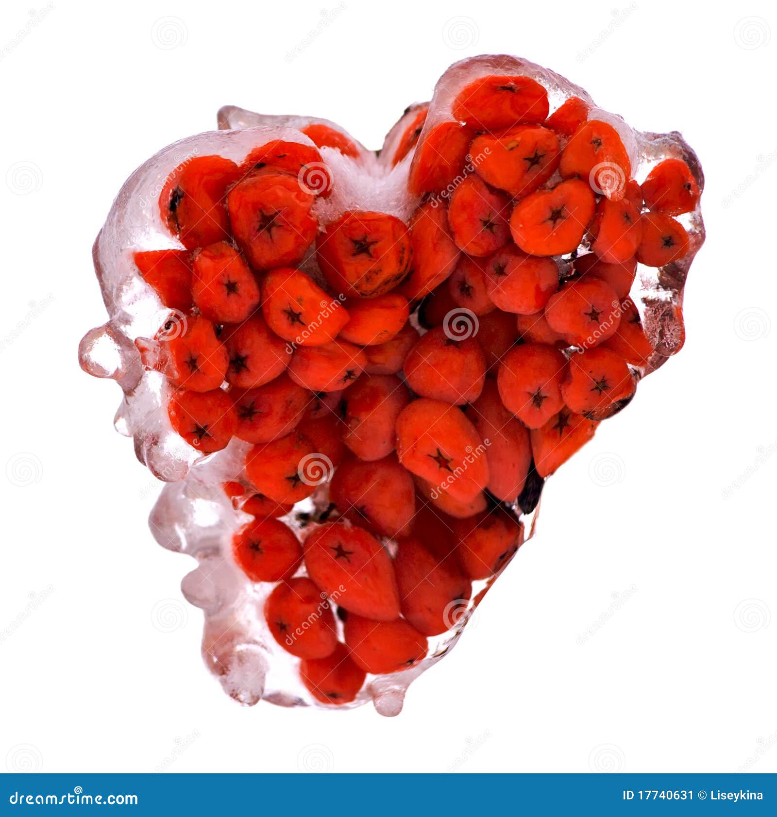 Frozen heart stock image. Image of close, branch, romantic - 17740631