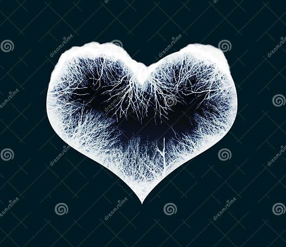 Frozen heart stock illustration. Illustration of frozen - 18124215