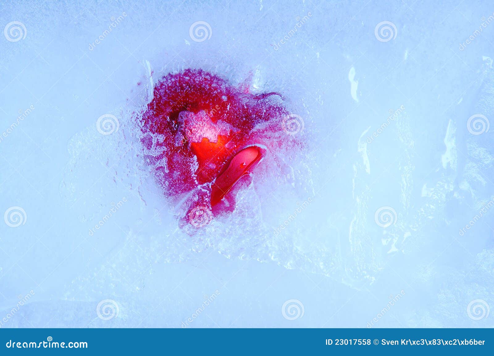 Frozen heart stock photo. Image of unfreeze, kalt, gefroren - 23017558
