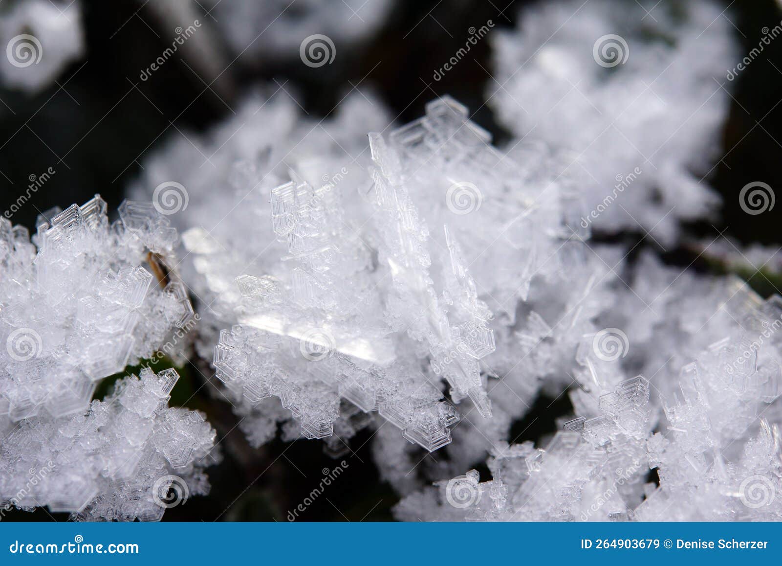 Frozen Ice Crystals on Nature Ground Stock Image - Image of blizzard ...