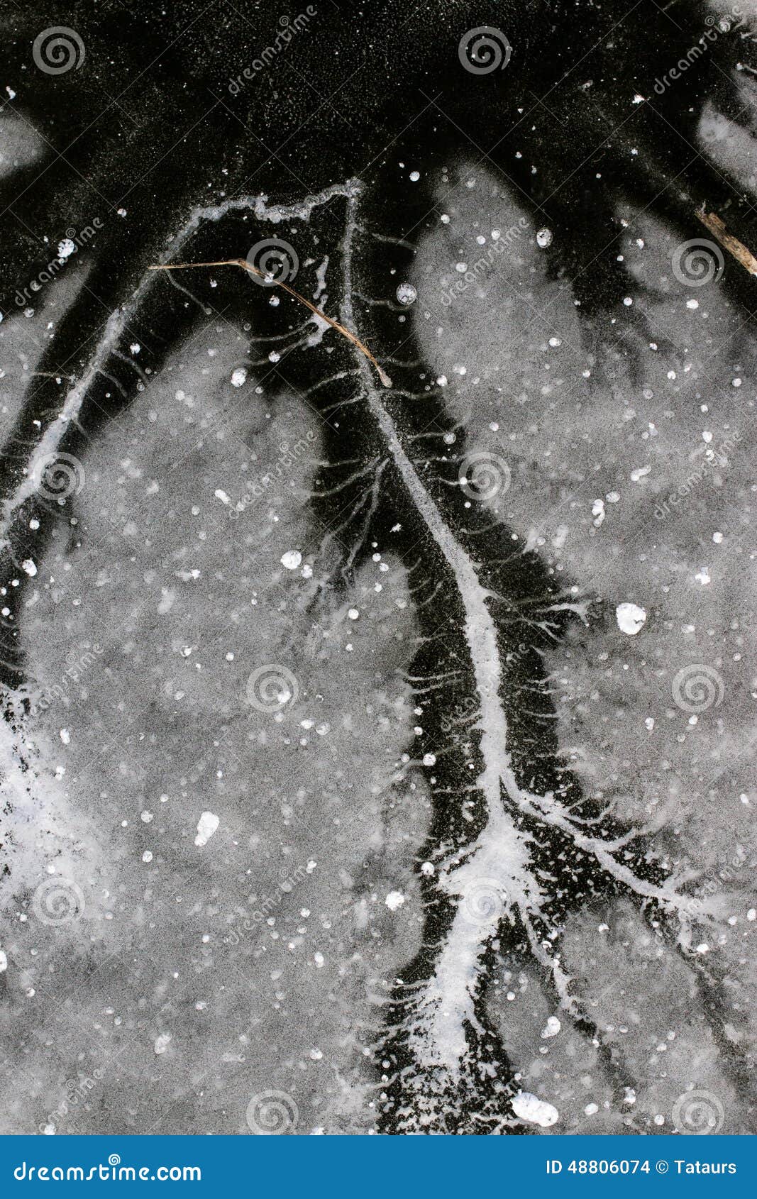 Frozen ice pattern stock photo. Image of cold, crystal - 48806074