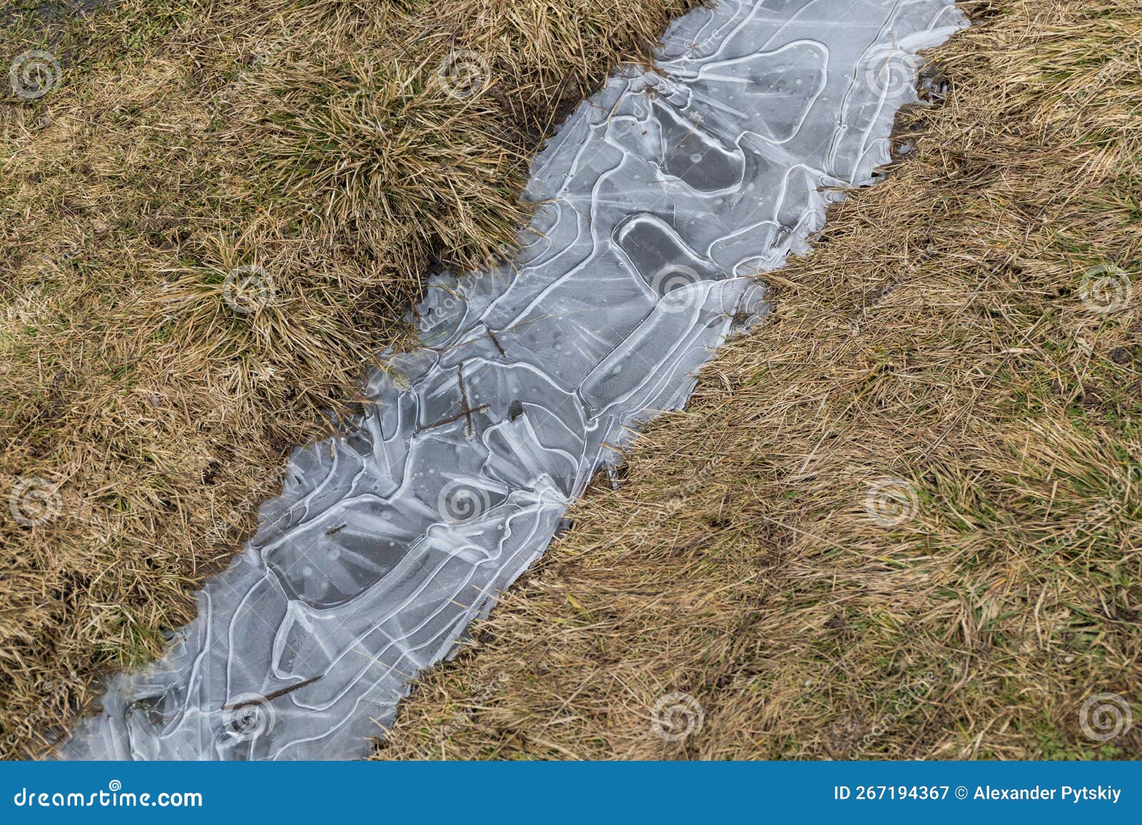 Frozen Ice in a Puddle on a Field in Early Spring Stock Image - Image ...