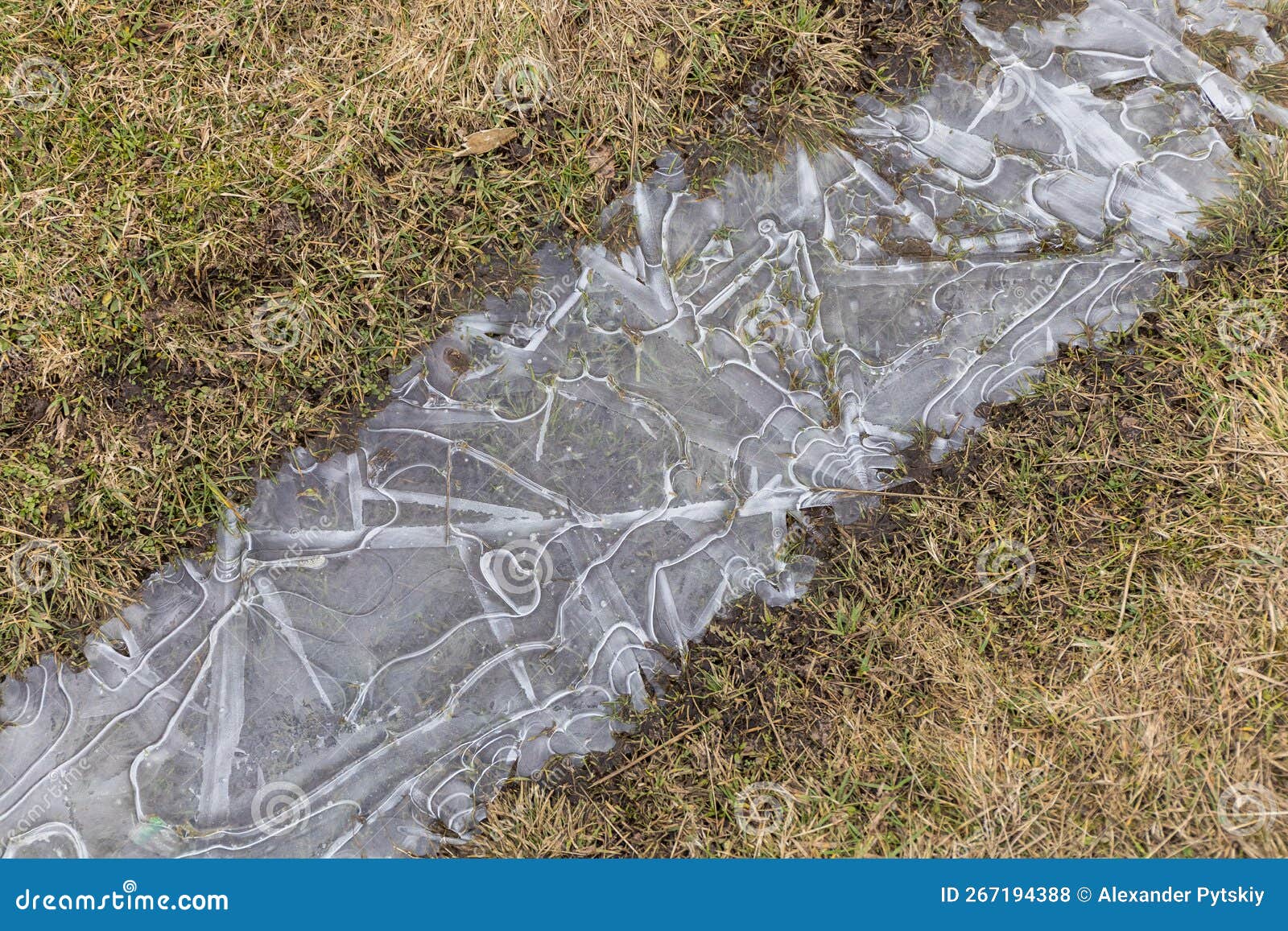 Frozen Ice in a Puddle on a Field in Early Spring Stock Photo - Image ...