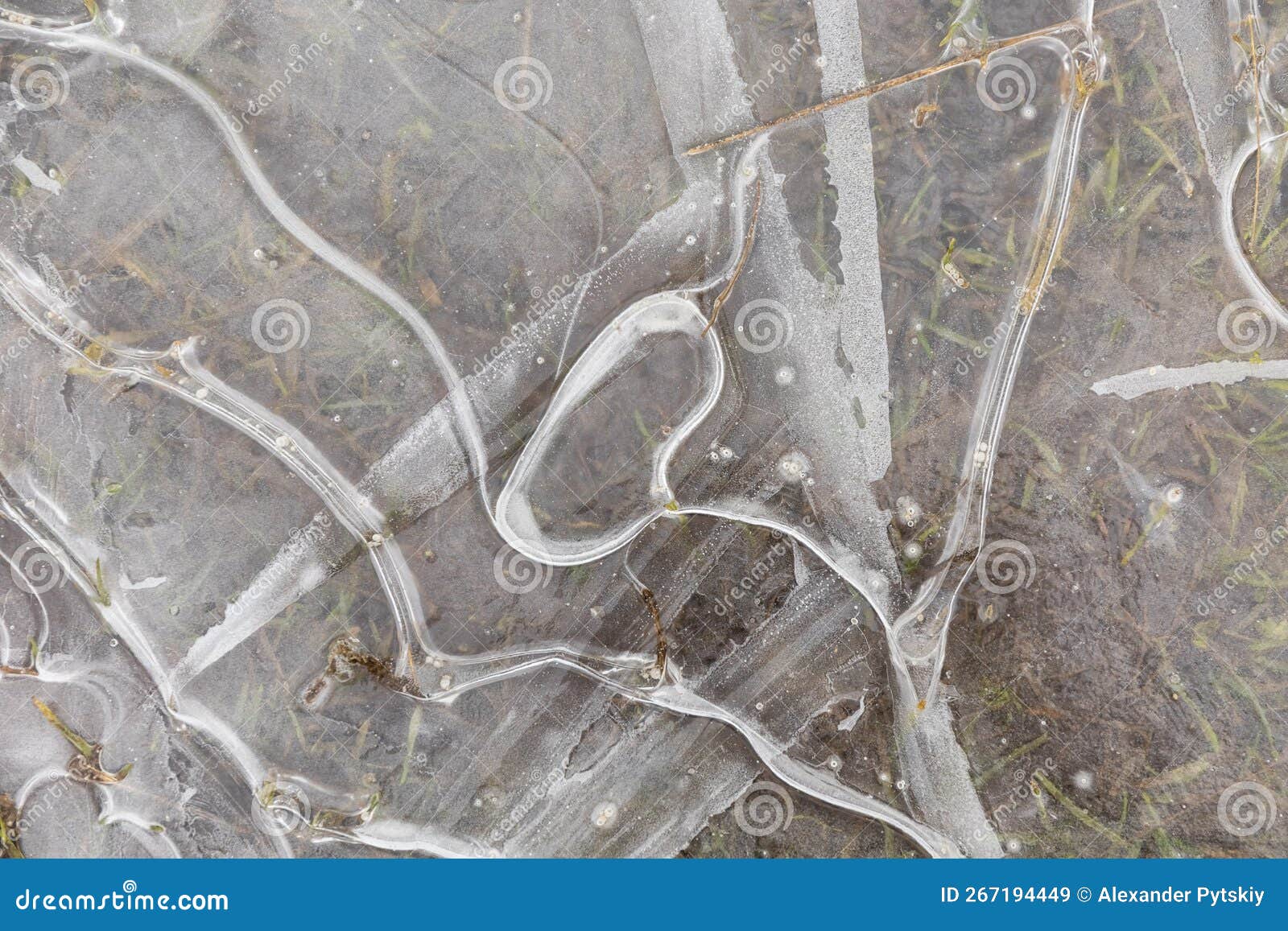 Frozen Ice in a Puddle on a Field in Early Spring Stock Image - Image ...