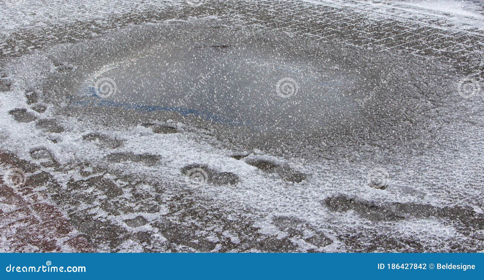 Frozen Ice Puddle with Footprints Around Stock Photo - Image of fall ...