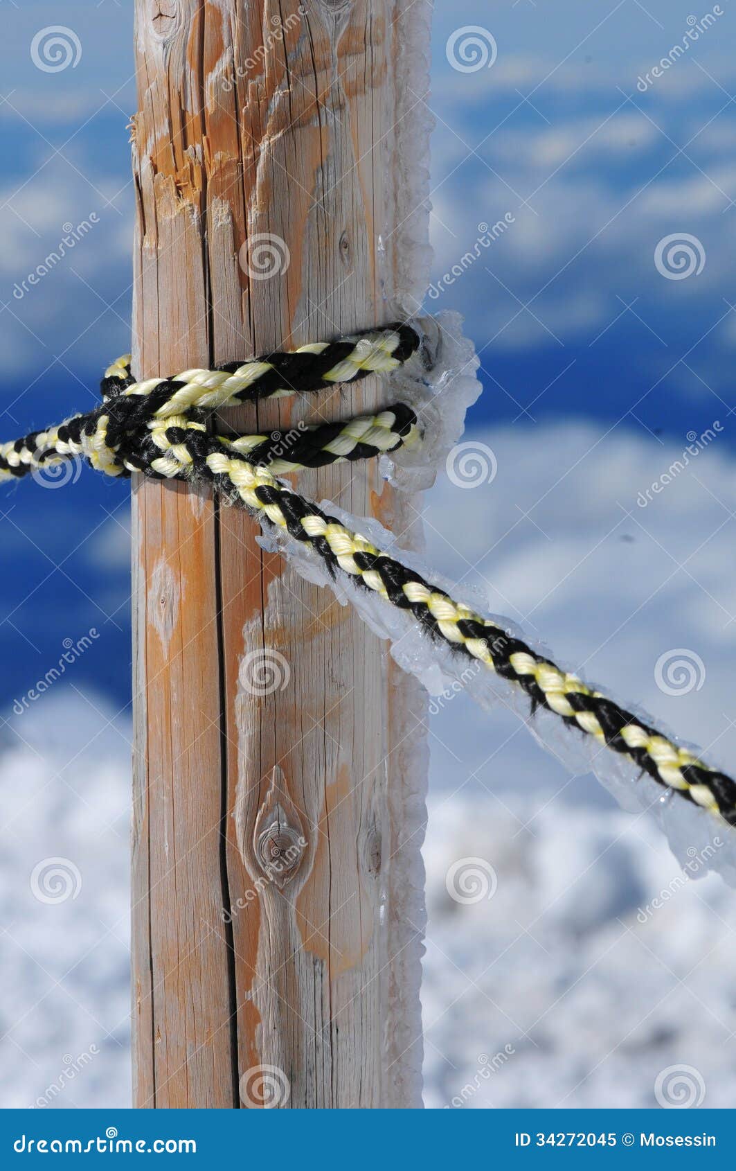 Frozen ice in rope stock image. Image of freeze, wood - 34272045