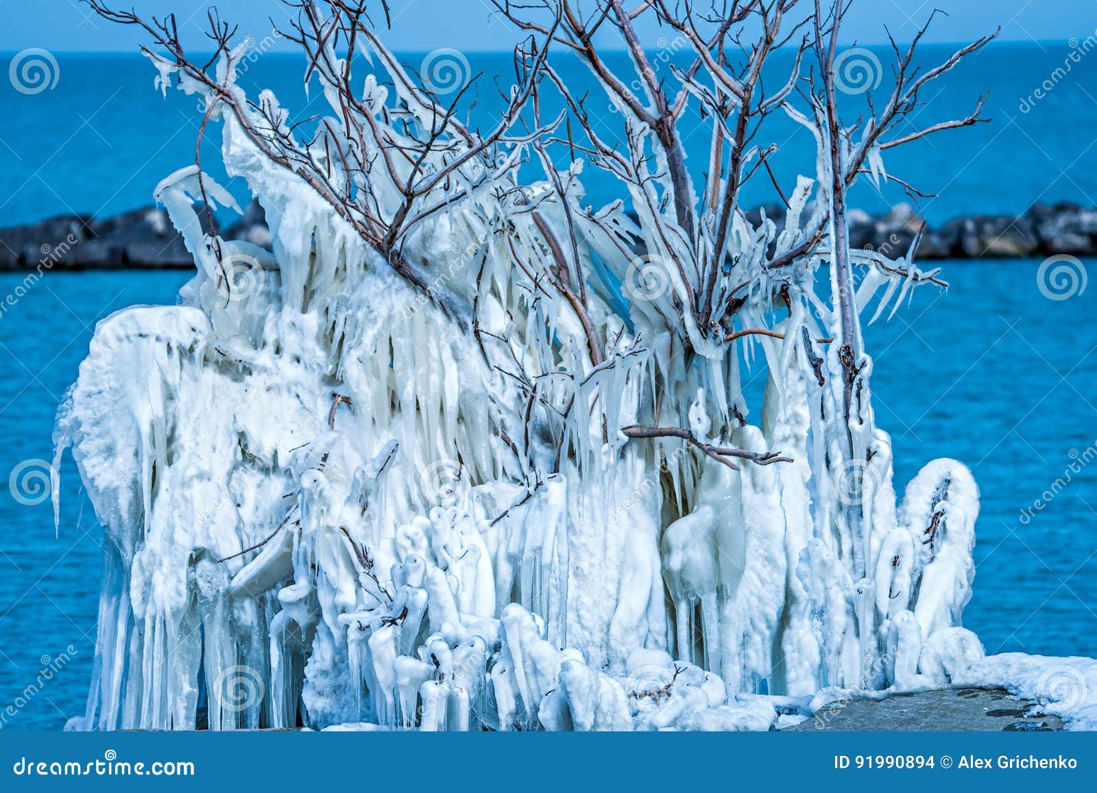 Frozen in Ice Tree Along Lake Erie Ohio Stock Photo - Image of nature ...