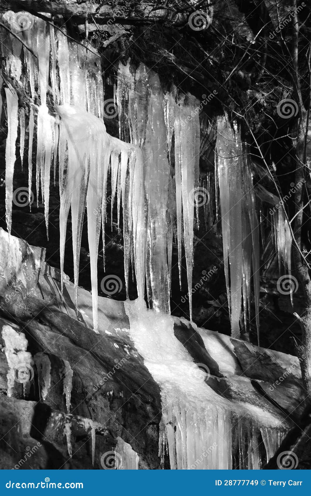 Frozen Icicles in Black and White Stock Image - Image of black ...