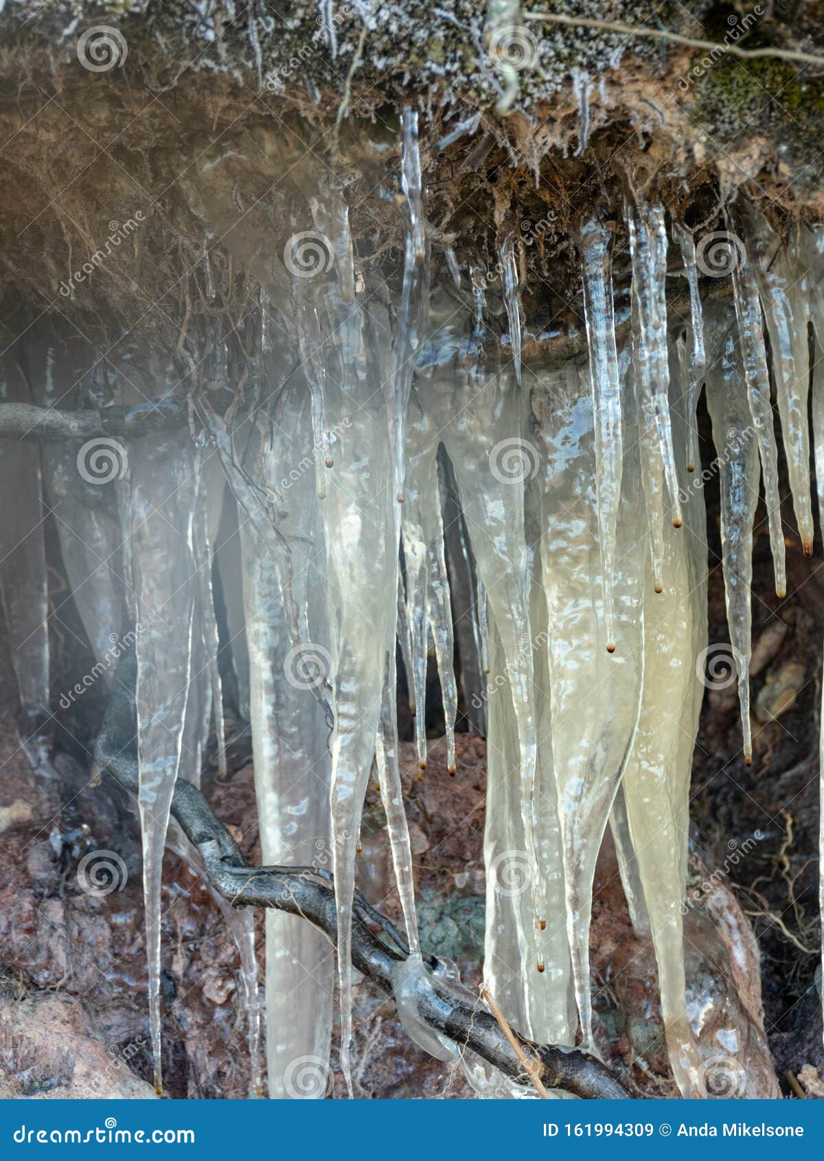 Frozen Icicles and Tree Roots Stock Image - Image of frozen, tree ...