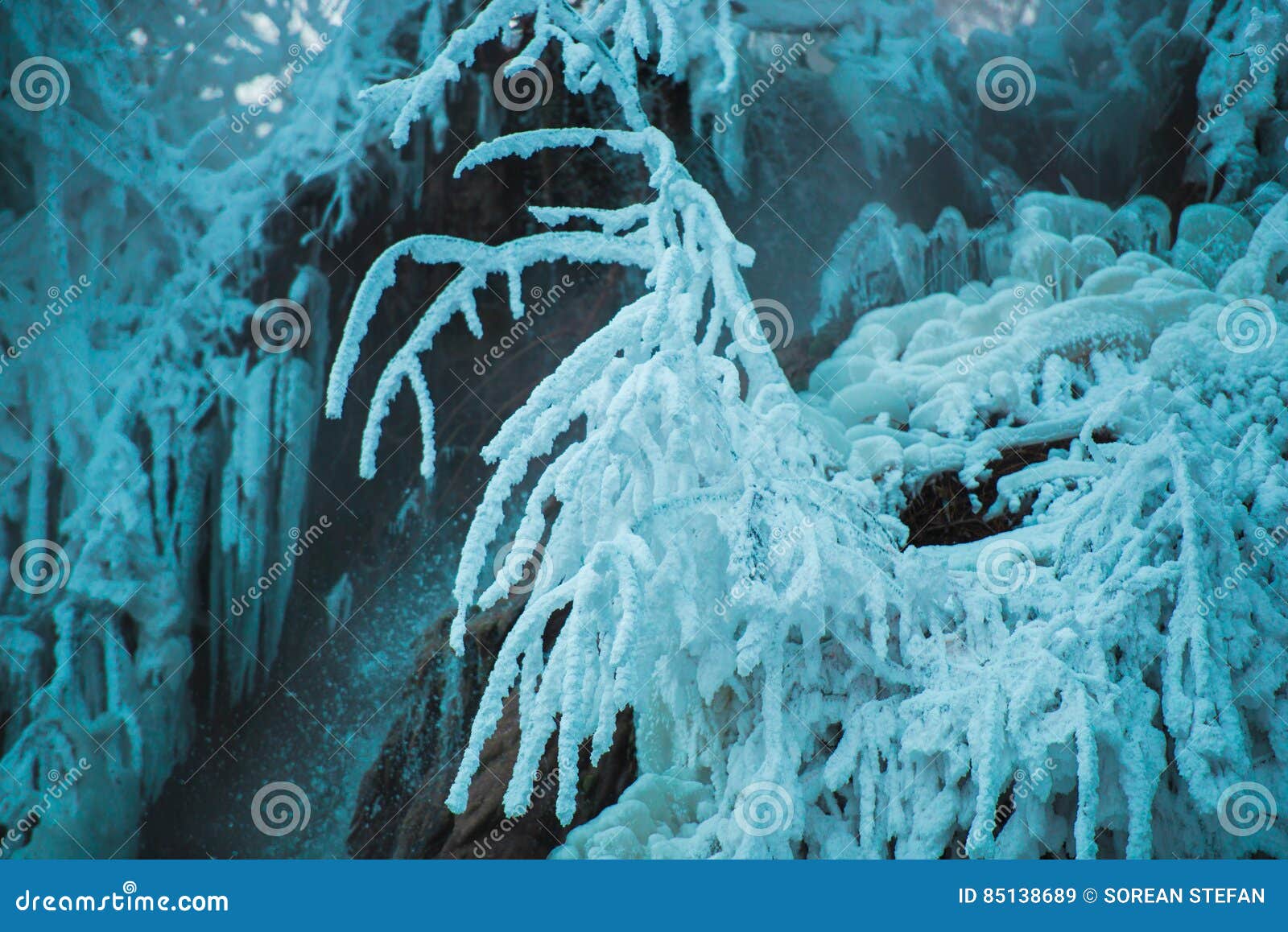 Frozen icicles stock image. Image of wild, icicles, river - 85138689