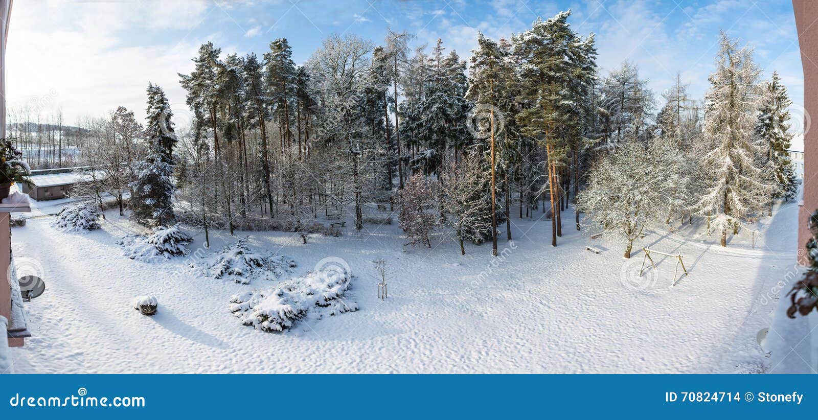 Frozen jungle in winter stock photo. Image of weather - 70824714