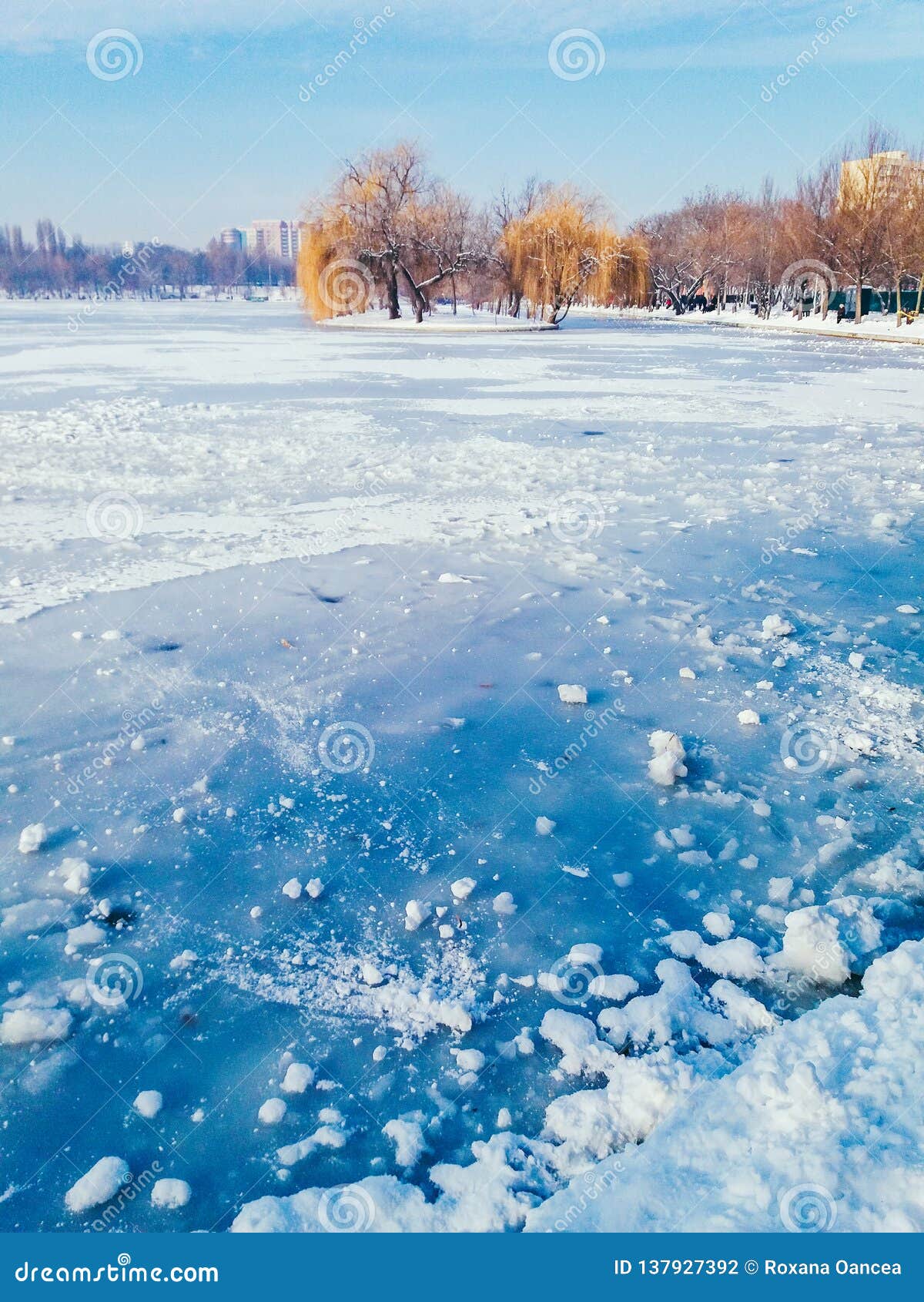 Cold weather stock photo. Image of landscape, cold, park - 137927392