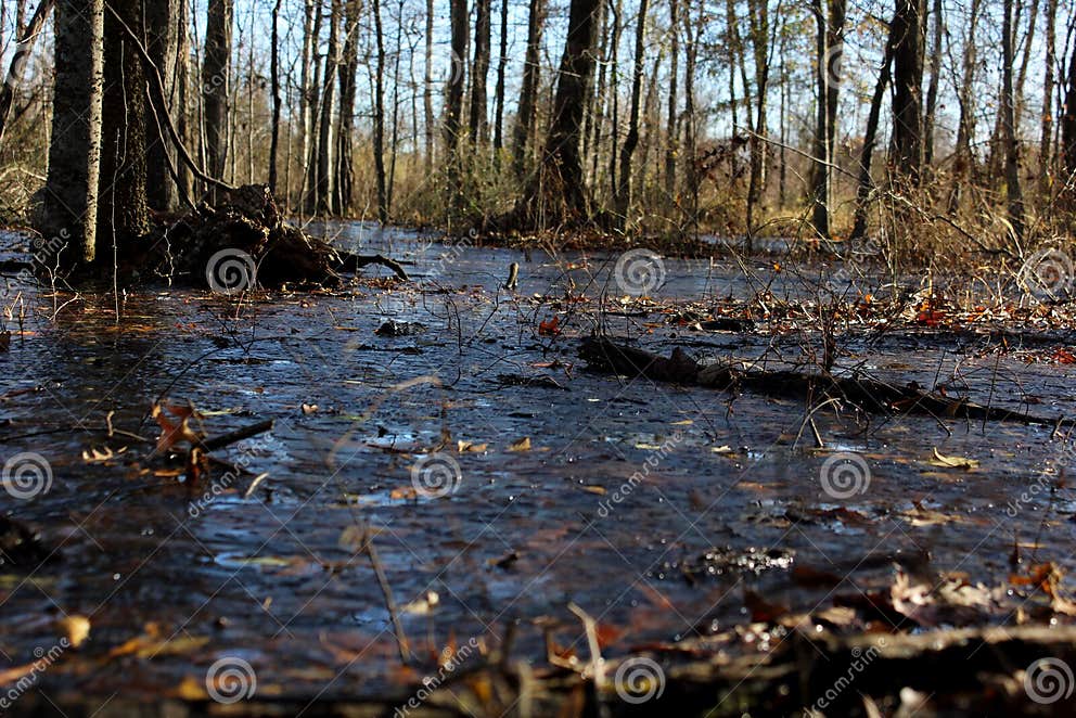 Frozen lake stock photo. Image of cold, reflection, slough - 43317398