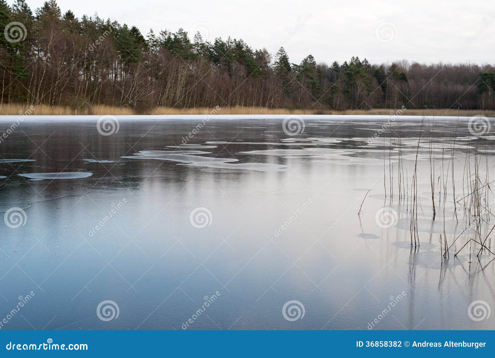 Frozen lake in Denmark stock photo. Image of water, nature - 36858382