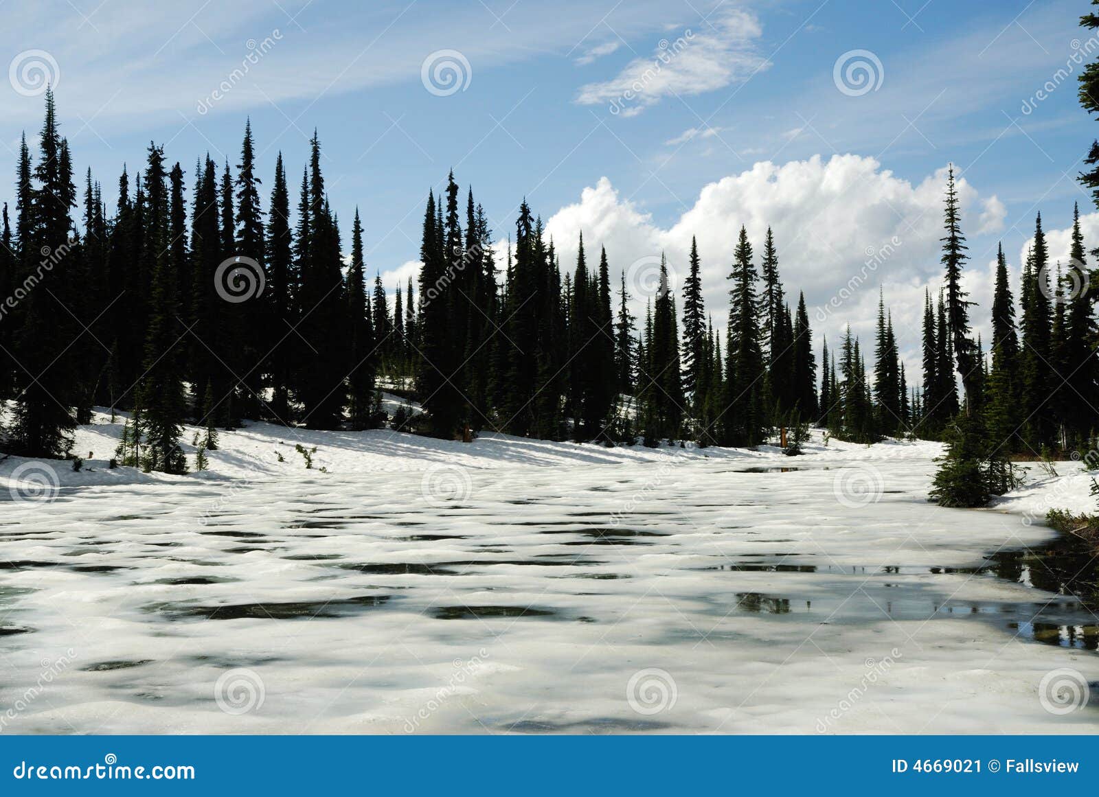 Frozen lake and forest stock image. Image of canadian - 4669021