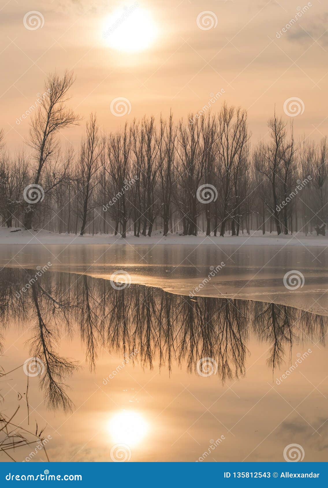 Frozen Lake in Forest Sun Reflection, Winter Reflection Landscape Stock ...