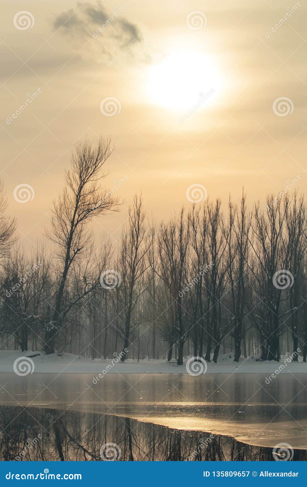 Frozen Lake in Forest Winter Sun, Winter Sun Landscape Stock Image ...