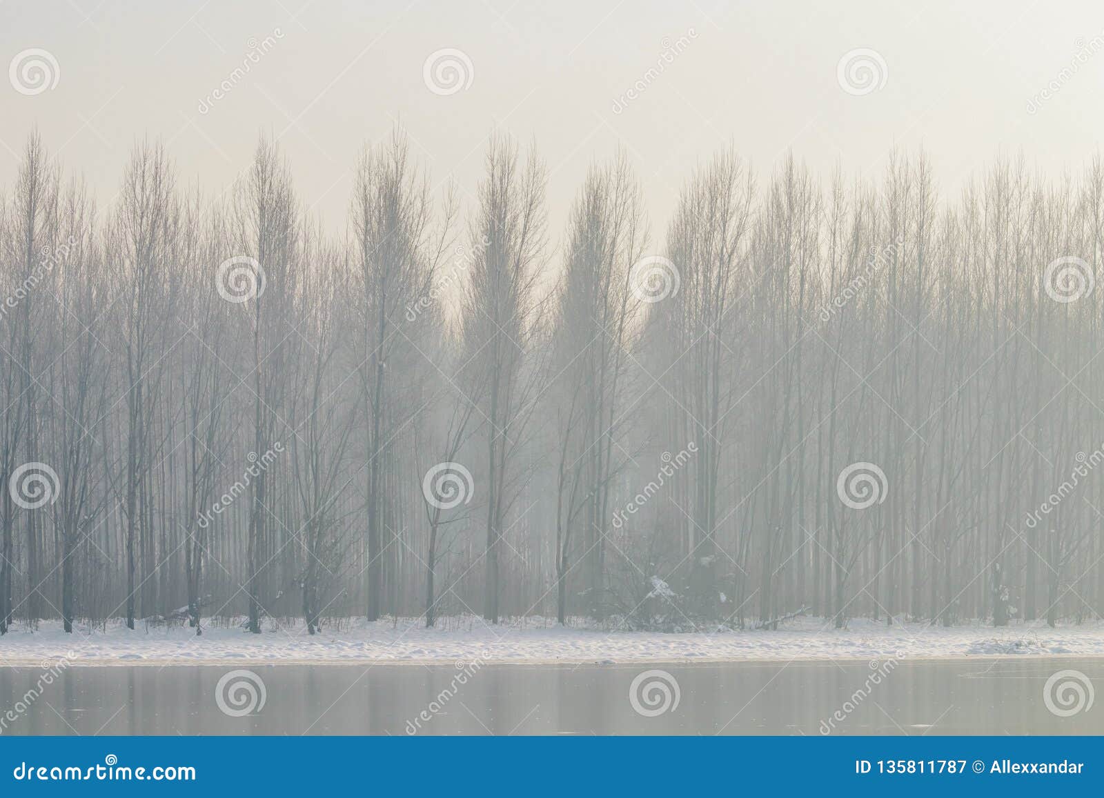 Frozen Lake in Forest. Winter Lake Under Snow Stock Image - Image of ...