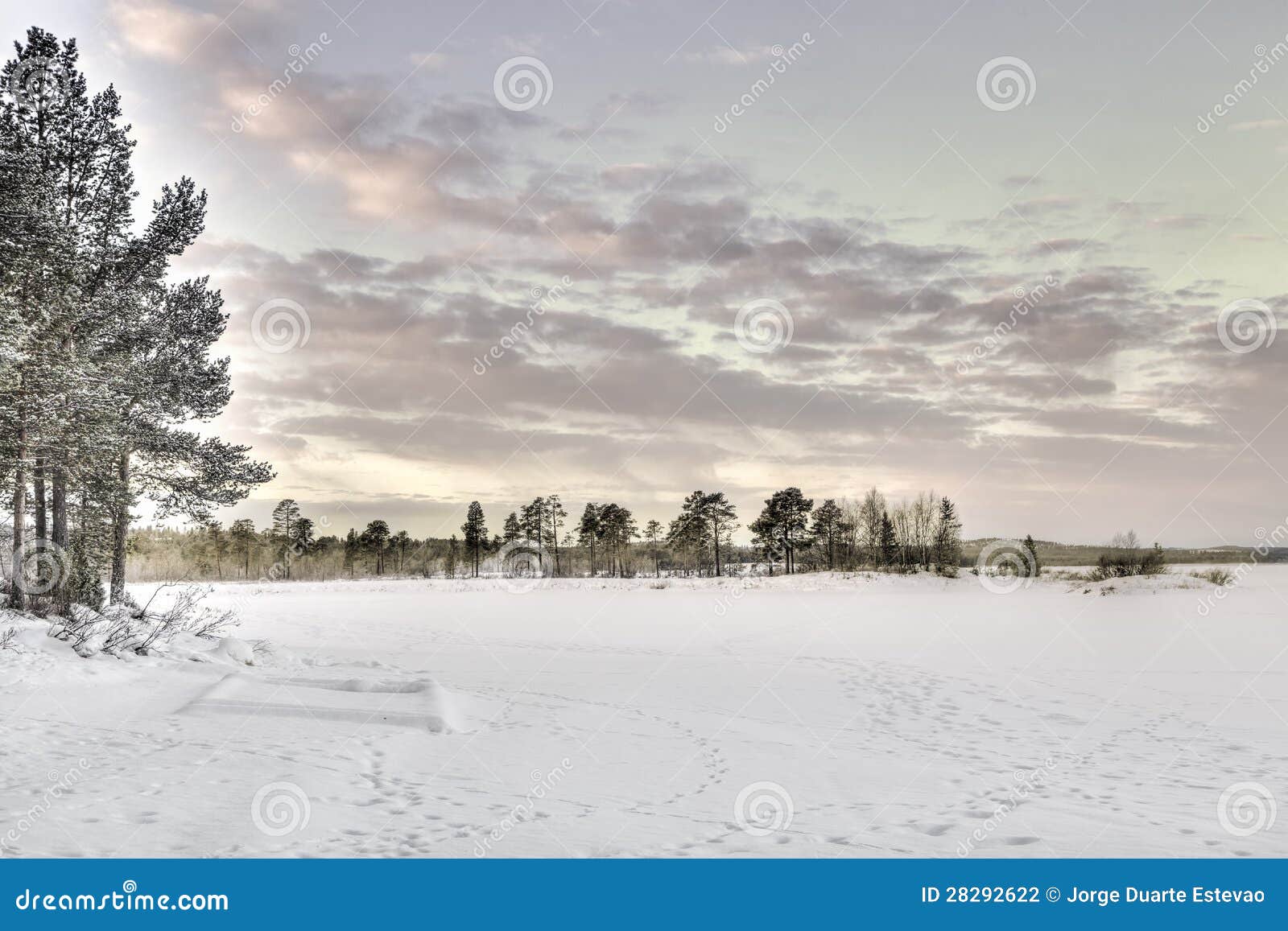 Frozen Lake in Inari, Finland Stock Photo - Image of sunrise, forest ...