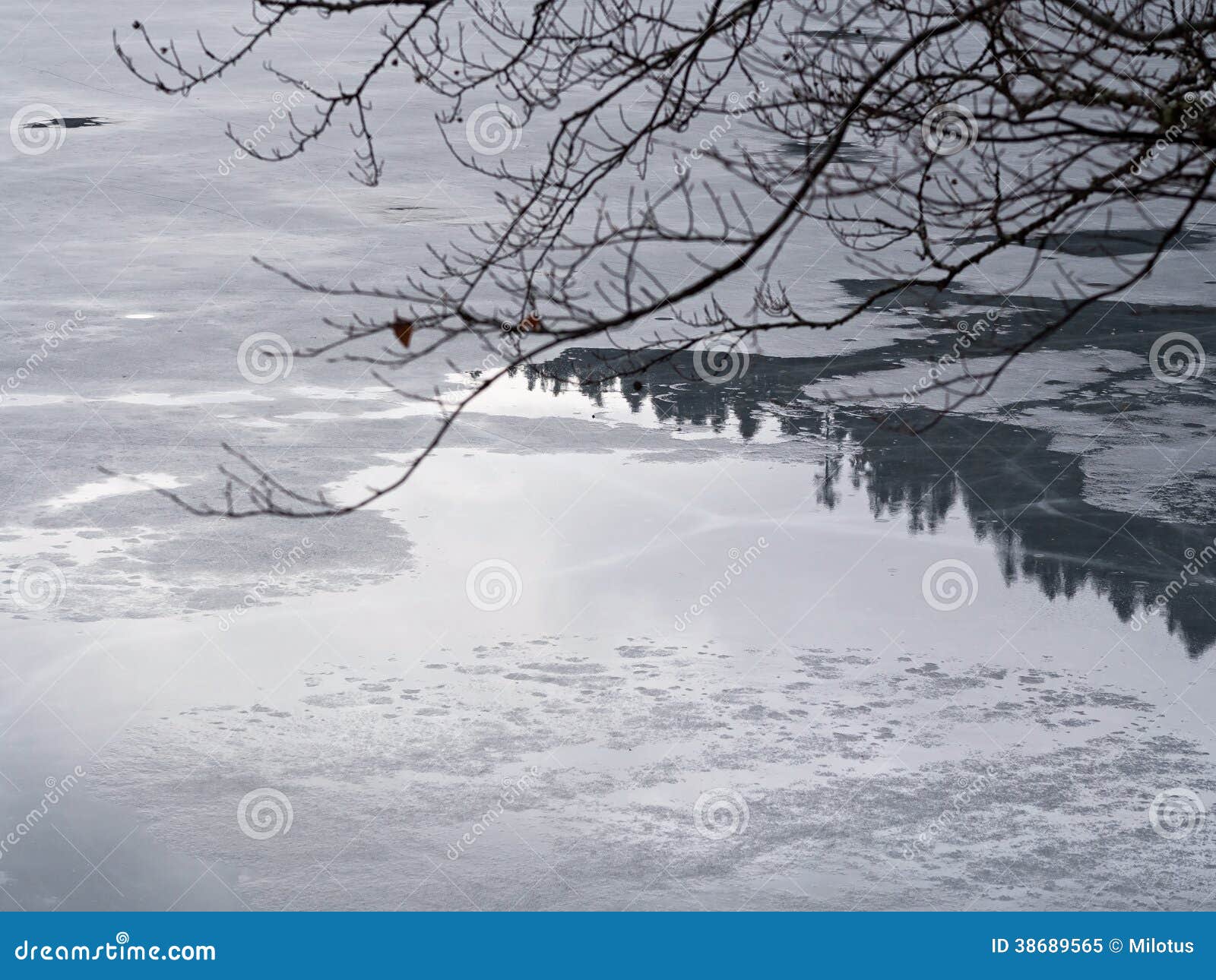 Frozen Lake and Reflections Stock Image - Image of reflection, lake ...