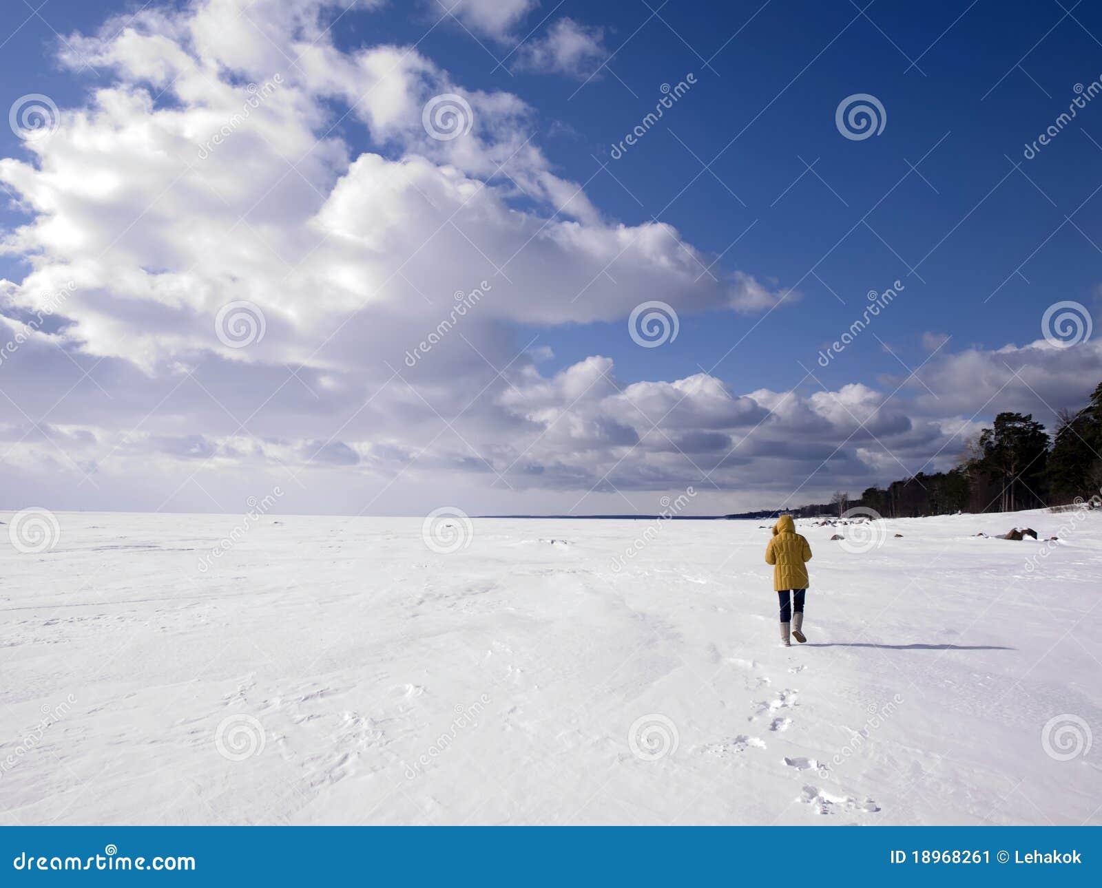 Frozen lake shore stock image. Image of snowdrift, figure - 18968261