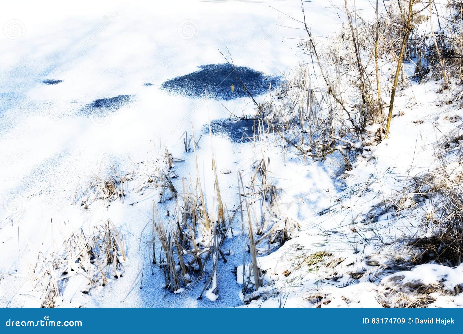 Frozen Lake Shore in the Morning Stock Image - Image of frosty, lake ...
