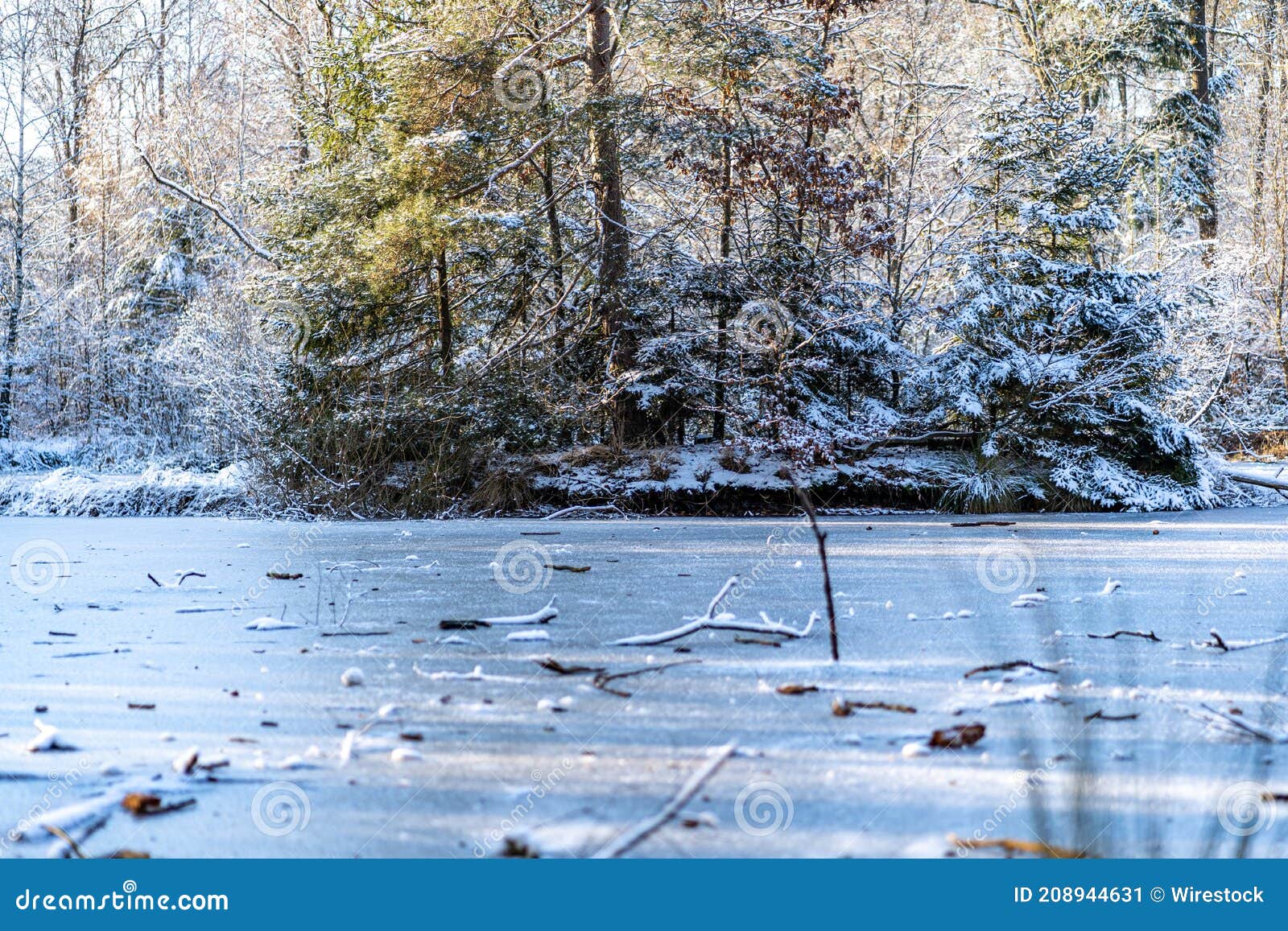 A frozen lake with snow stock image. Image of scenic - 208944631