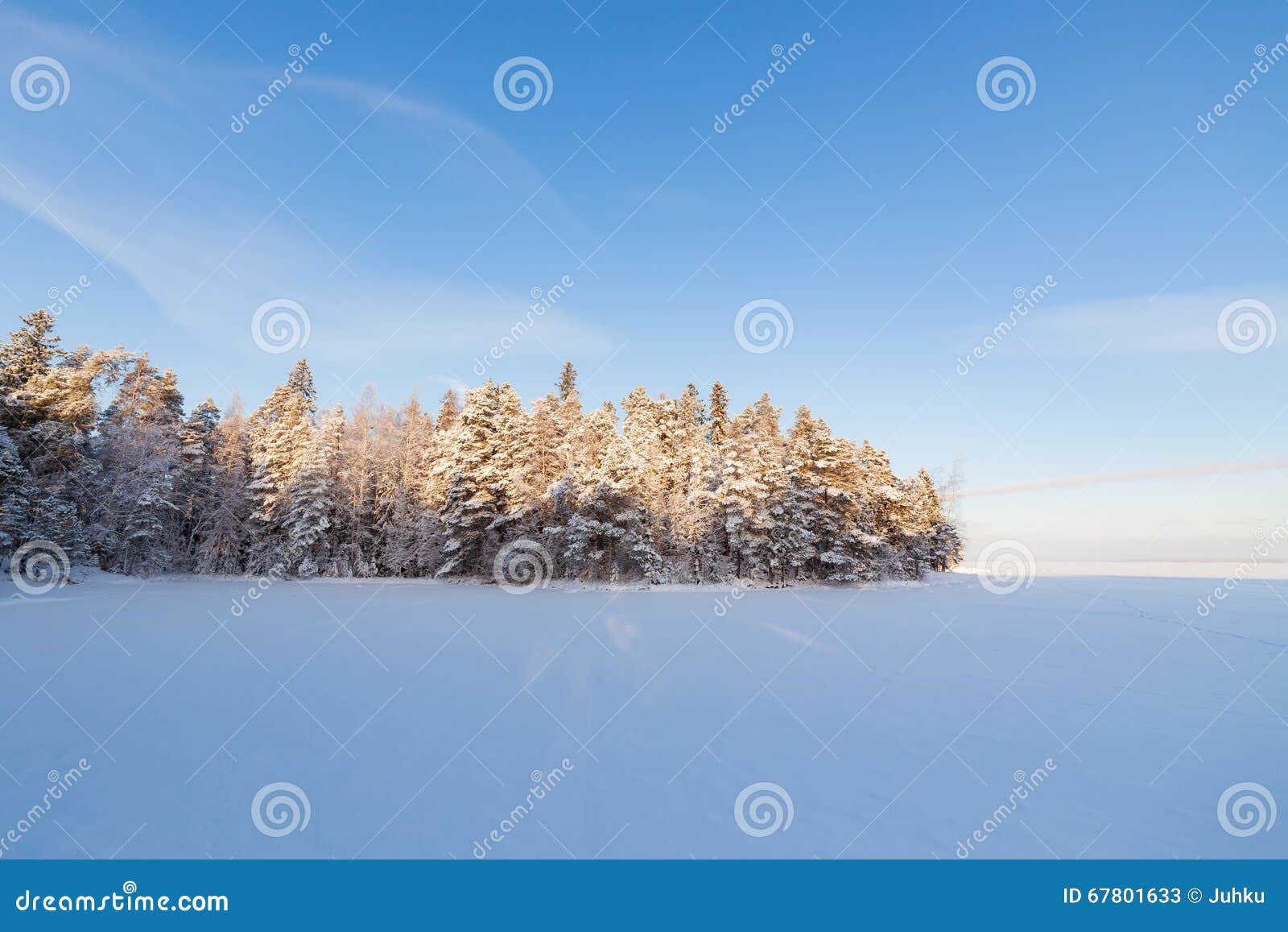 Frozen Lake And Snow Covered Forest Stock Image Image Of Freeze