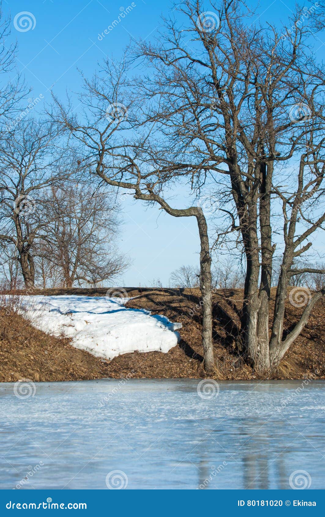 Frozen Lake in the Spring. Spring Ice Stock Photo - Image of clear ...