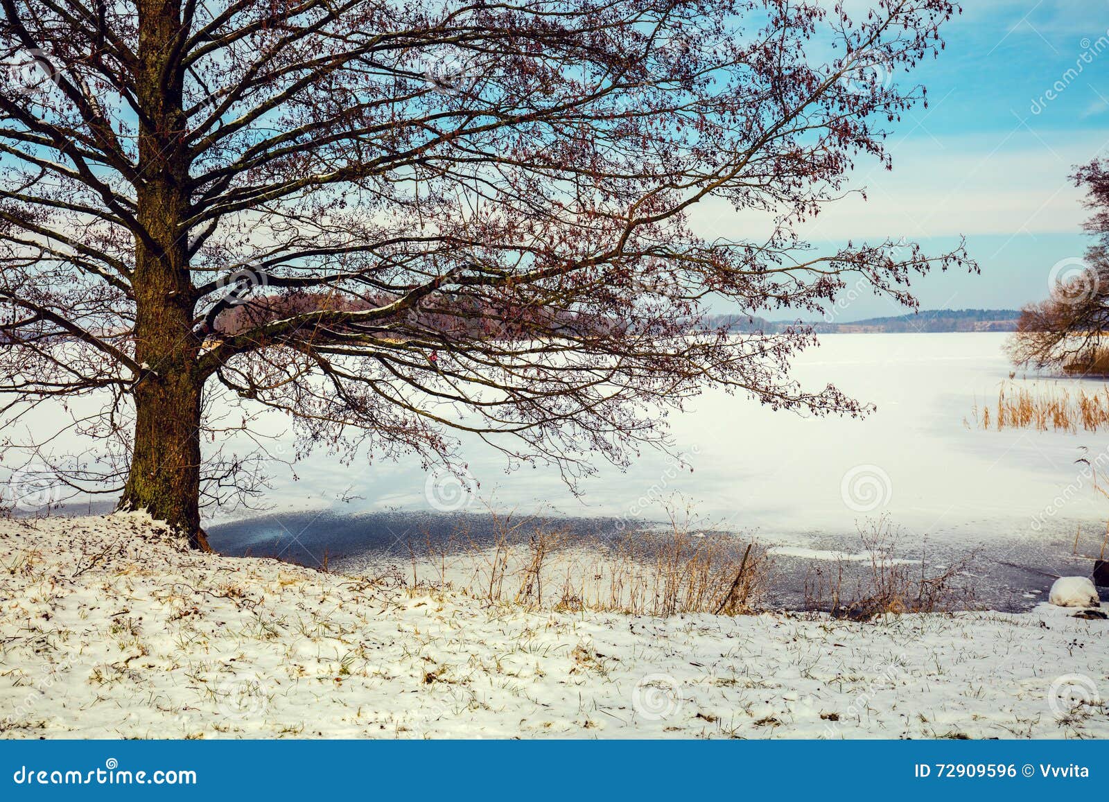 Frozen lake in winter stock photo. Image of forest, scenery - 72909596