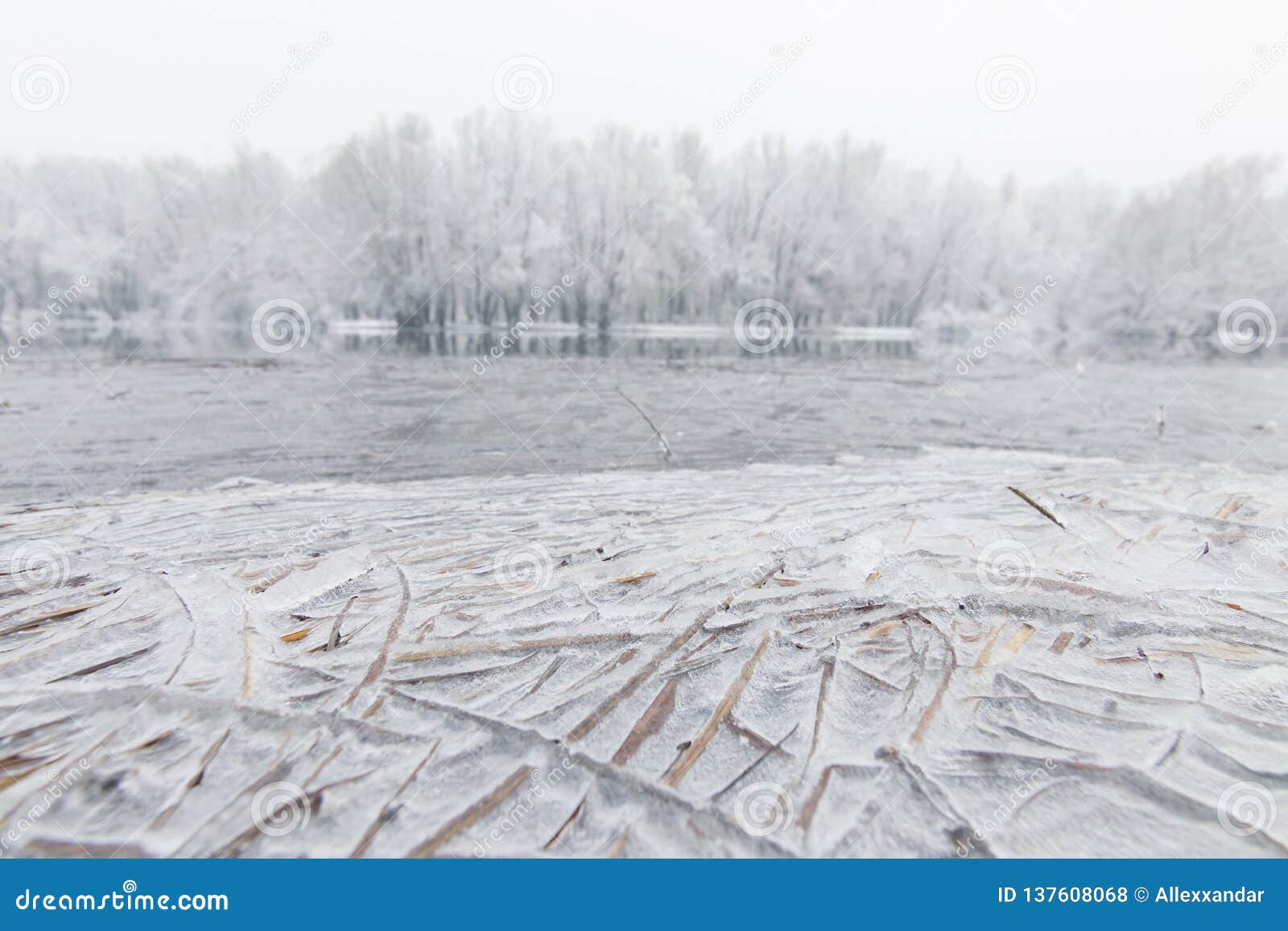 Frozen Lake in Winter, Winter Lake Scene Stock Photo - Image of blue ...