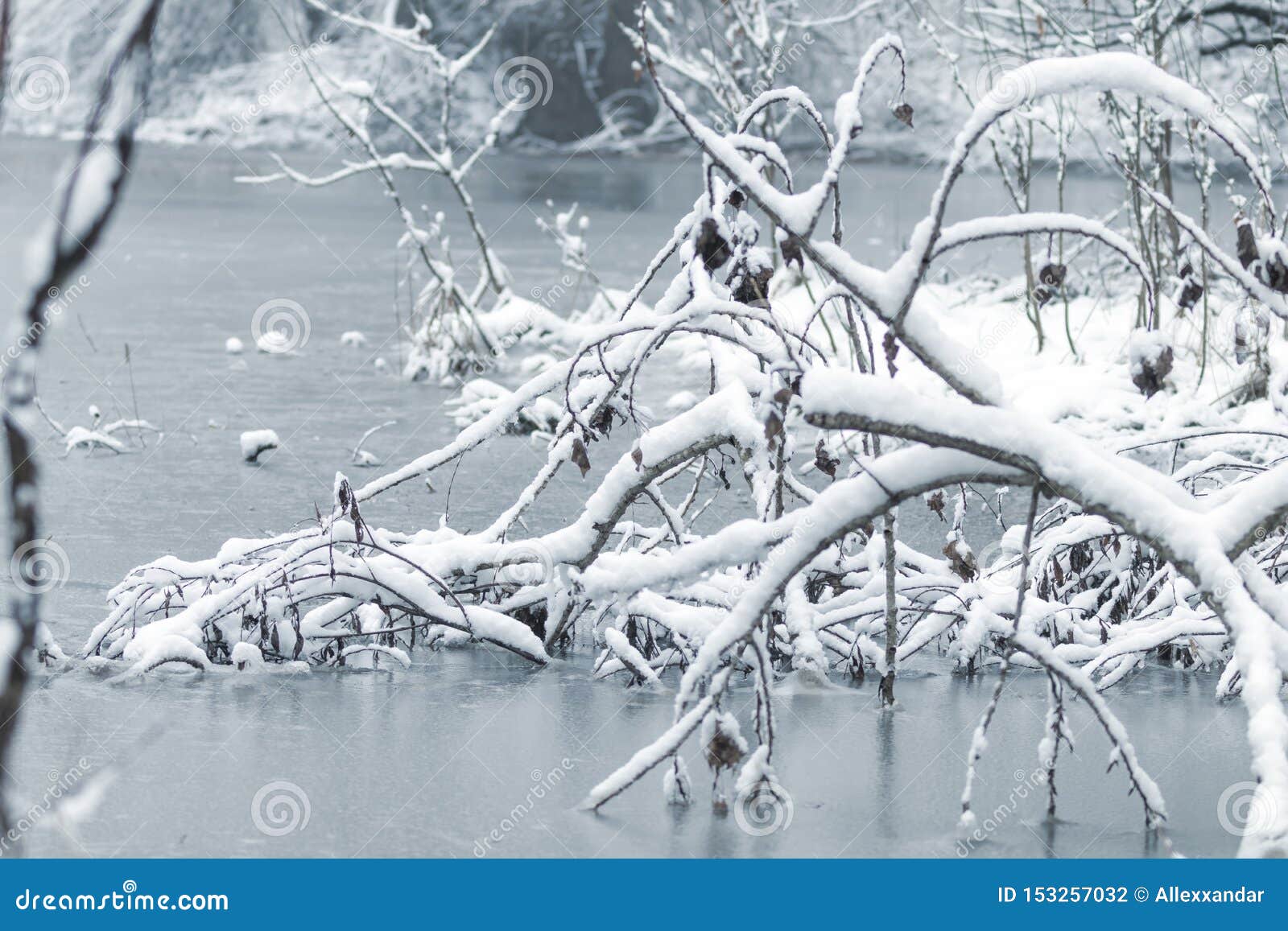 Frozen Lake in Winter, Winter Lake Scene Stock Photo - Image of scenic ...