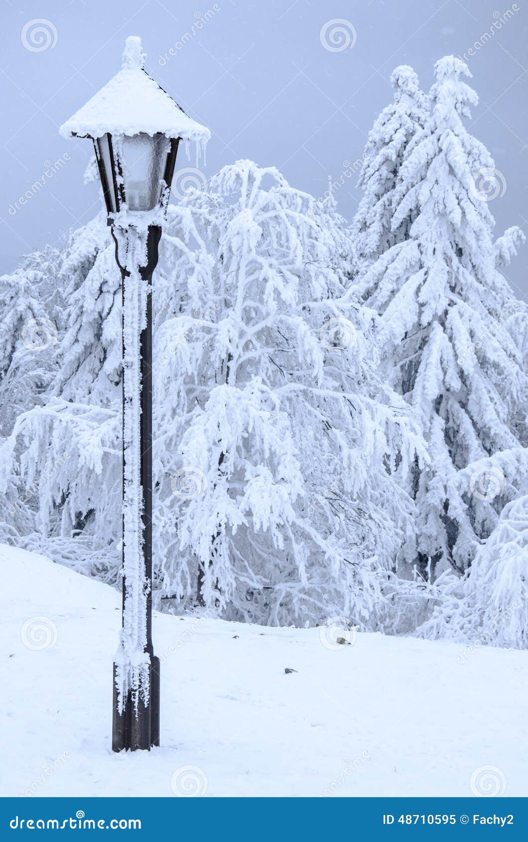 Frozen Lamp in Winter in the Hills Stock Image - Image of freeze ...