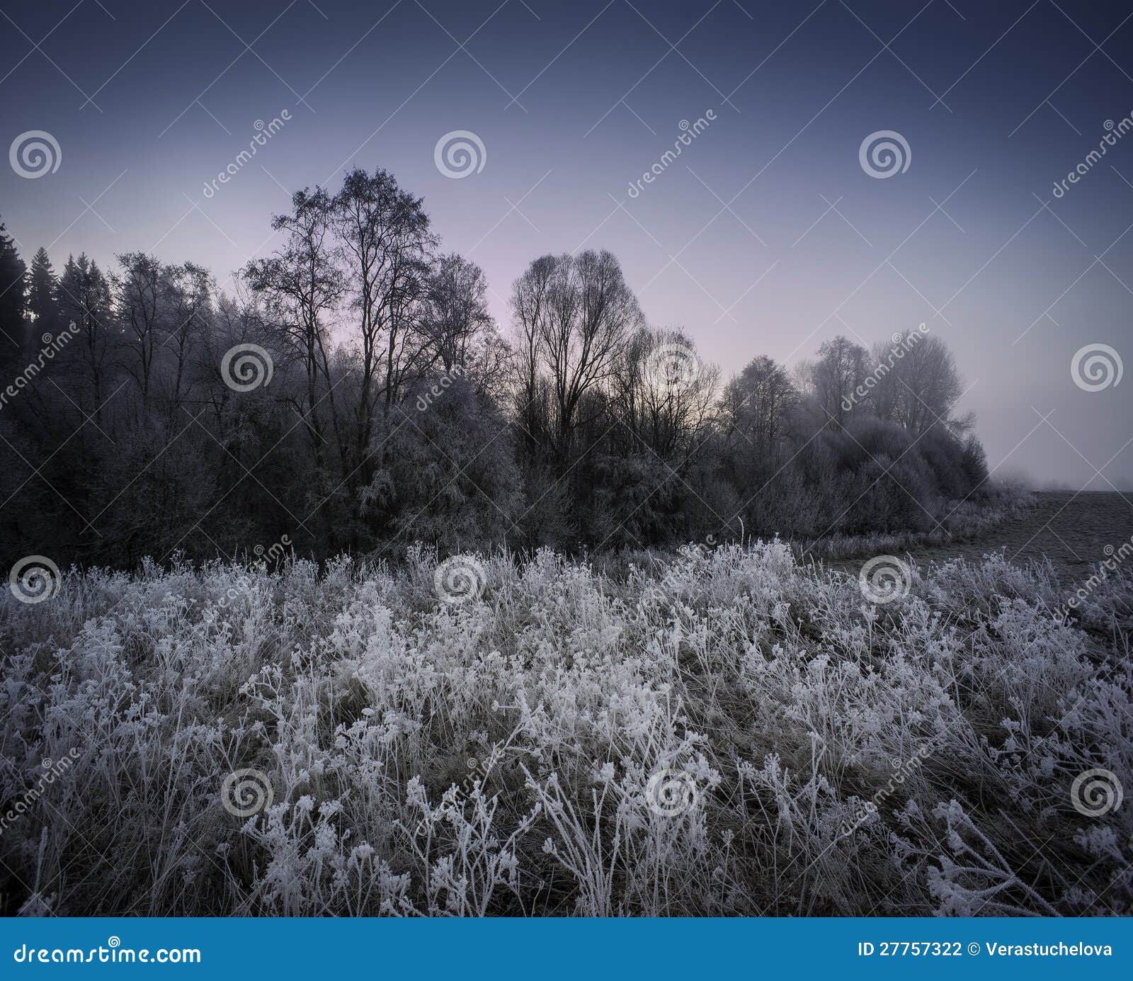 Frozen landscape stock photo. Image of forest, climate - 27757322