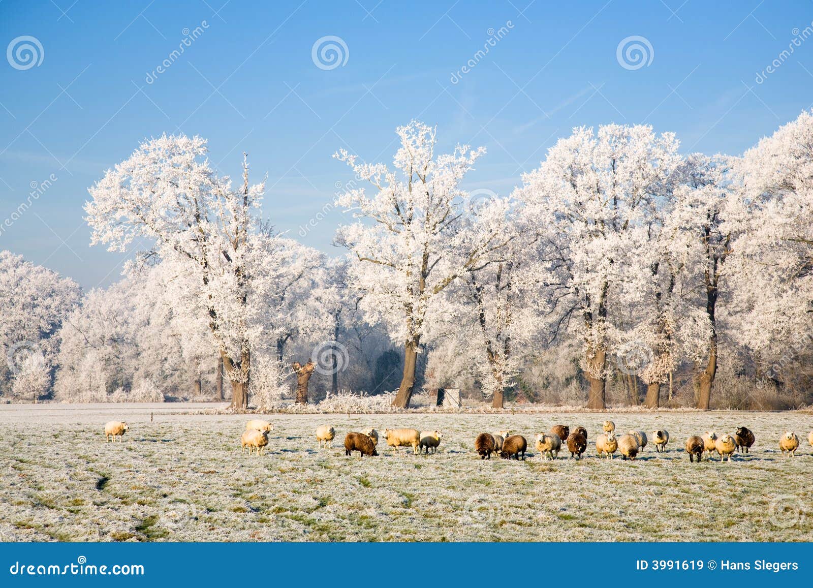 Frozen landscape stock image. Image of cool, blizzard - 3991619