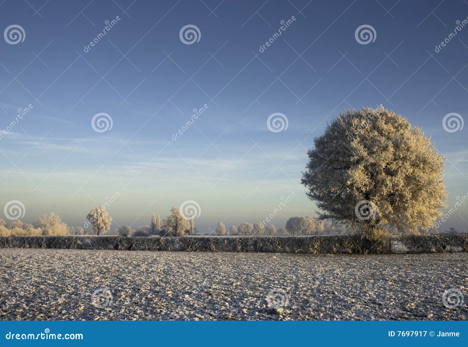 Frozen landscape stock image. Image of winter, white, rural - 7697917